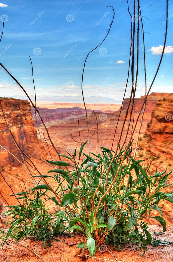 Shafer Switchbacks stock image. Image of park, lathrop - 31971759