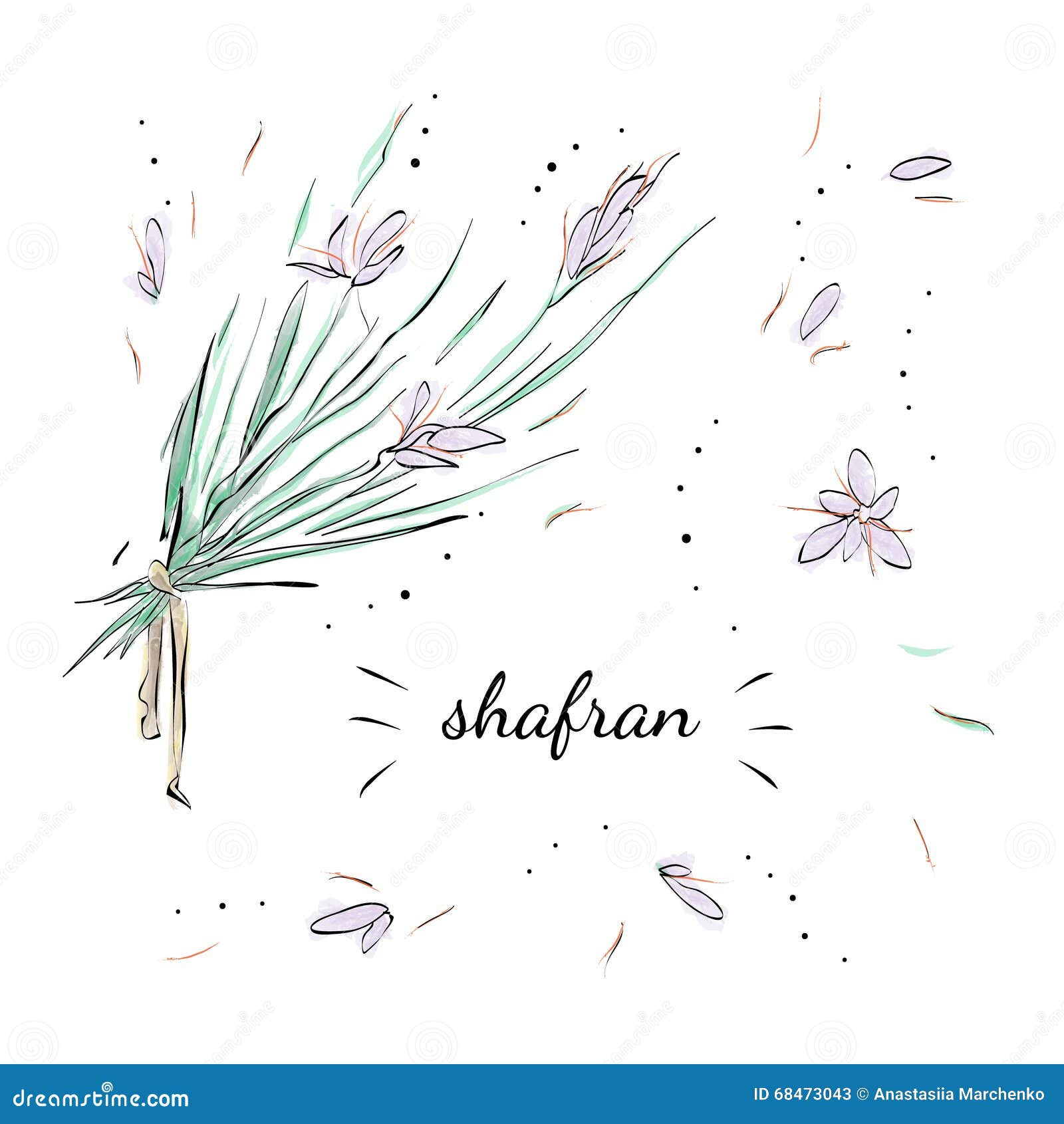 Shafran ilustración del vector. Ilustración de alimento - 68473043