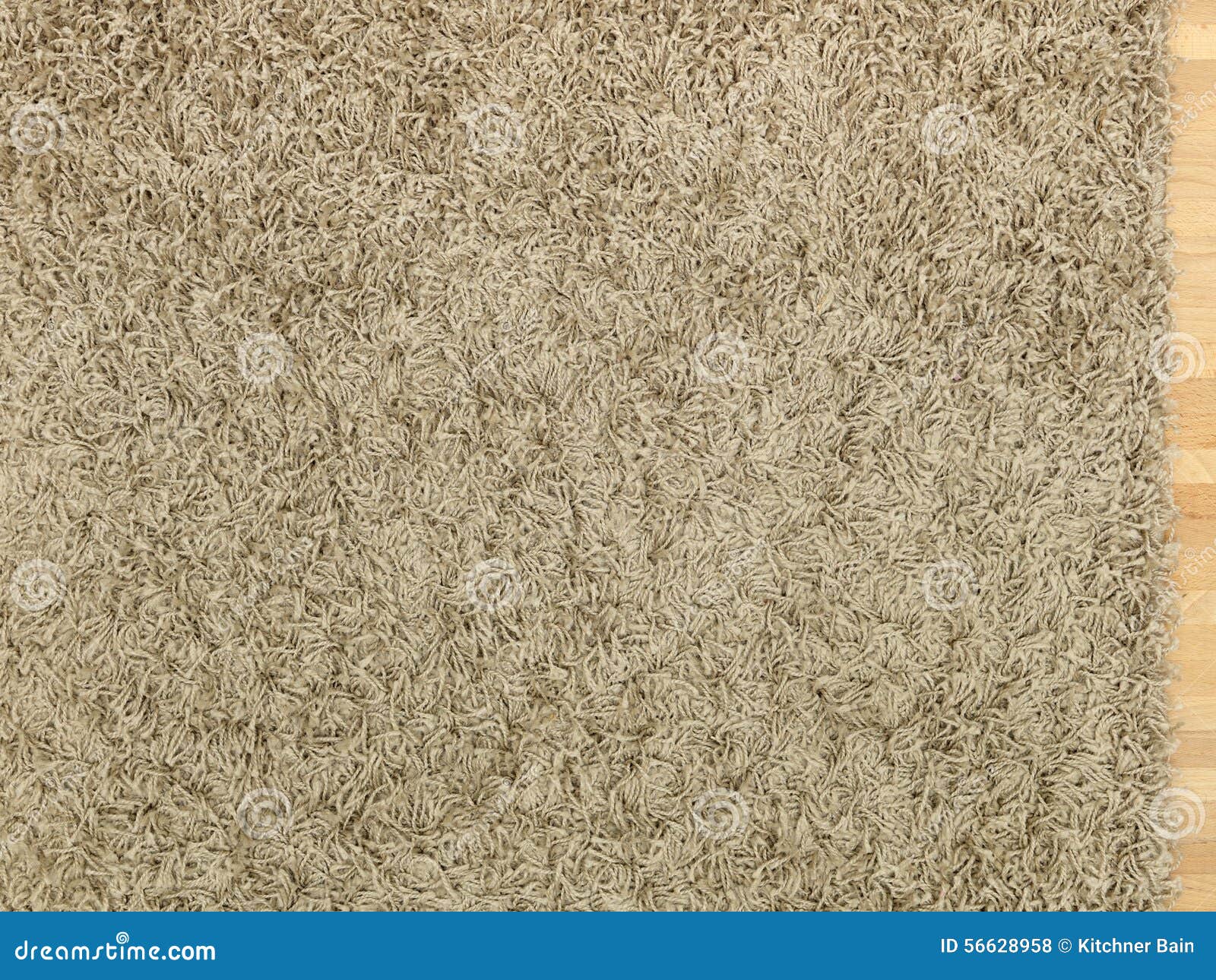 Shag Carpet stock photo. Image of beige, design, long - 56628958
