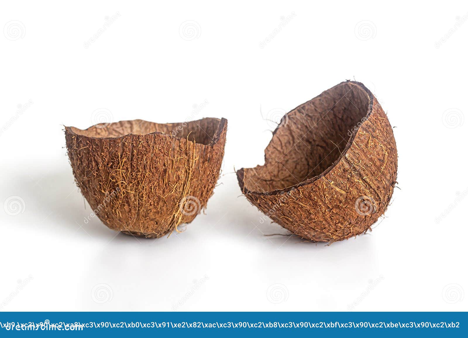 Shaggy Brown Coconut Shell, on a White Background Stock Photo - Image ...