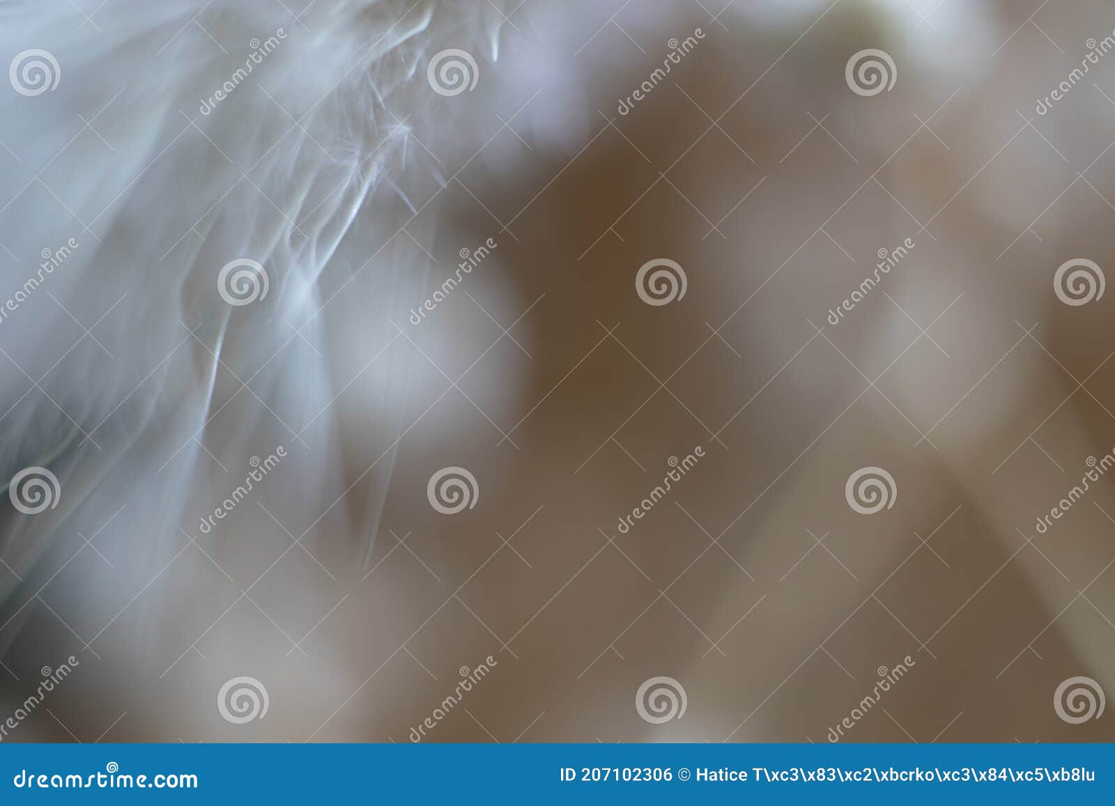 Shaggy Texture. Soft and Flowing Texture Stock Photo - Image of white ...