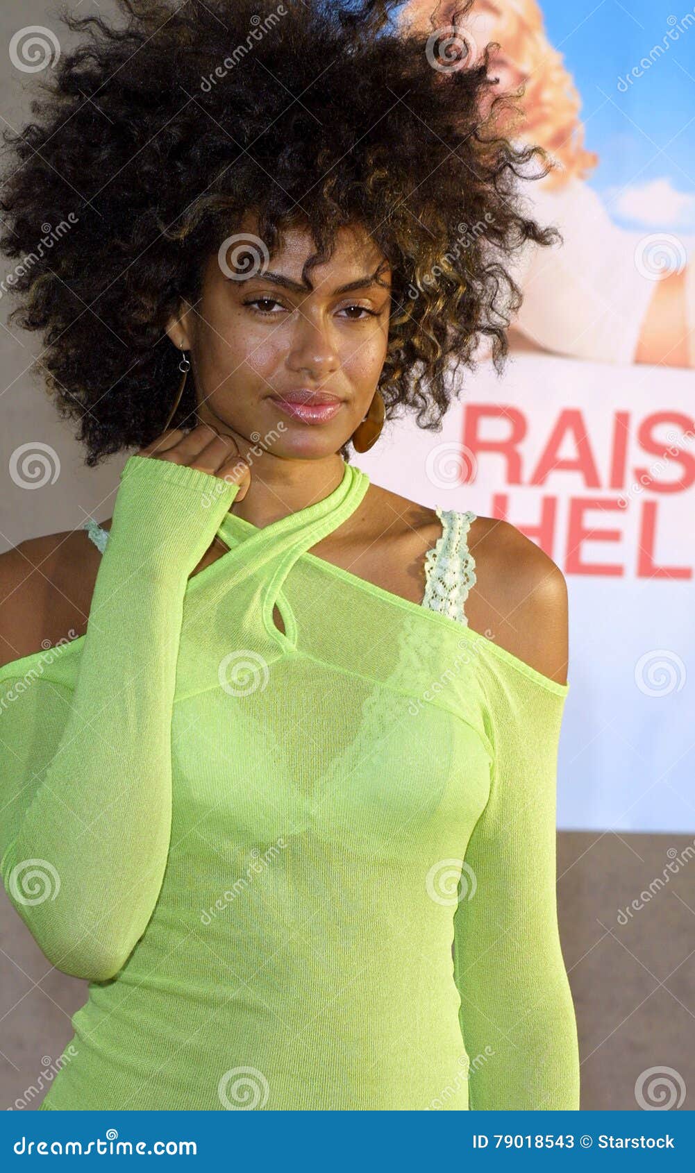 Shakara Ledard foto de archivo editorial. Imagen de hudson - 79018543