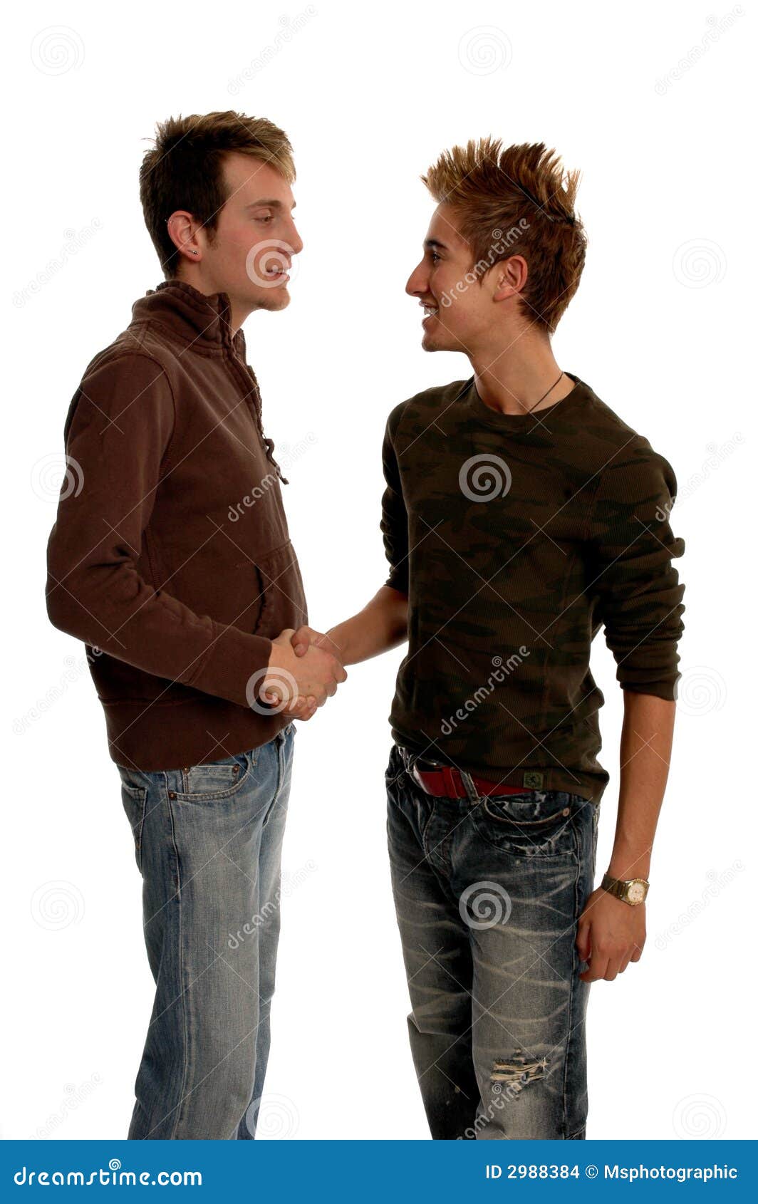 Shake stock photo. Image of shaking, adults, young, handshake - 2988384