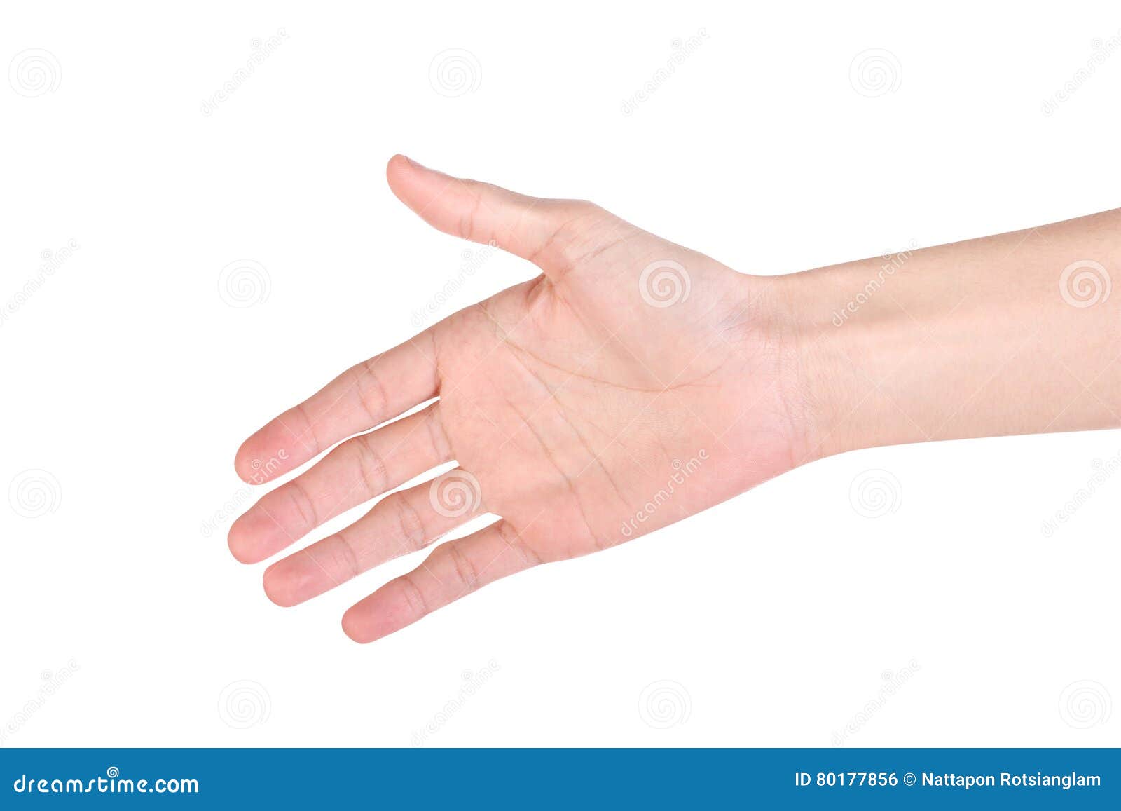 Shaking hand stock photo. Image of professional, isolated - 80177856