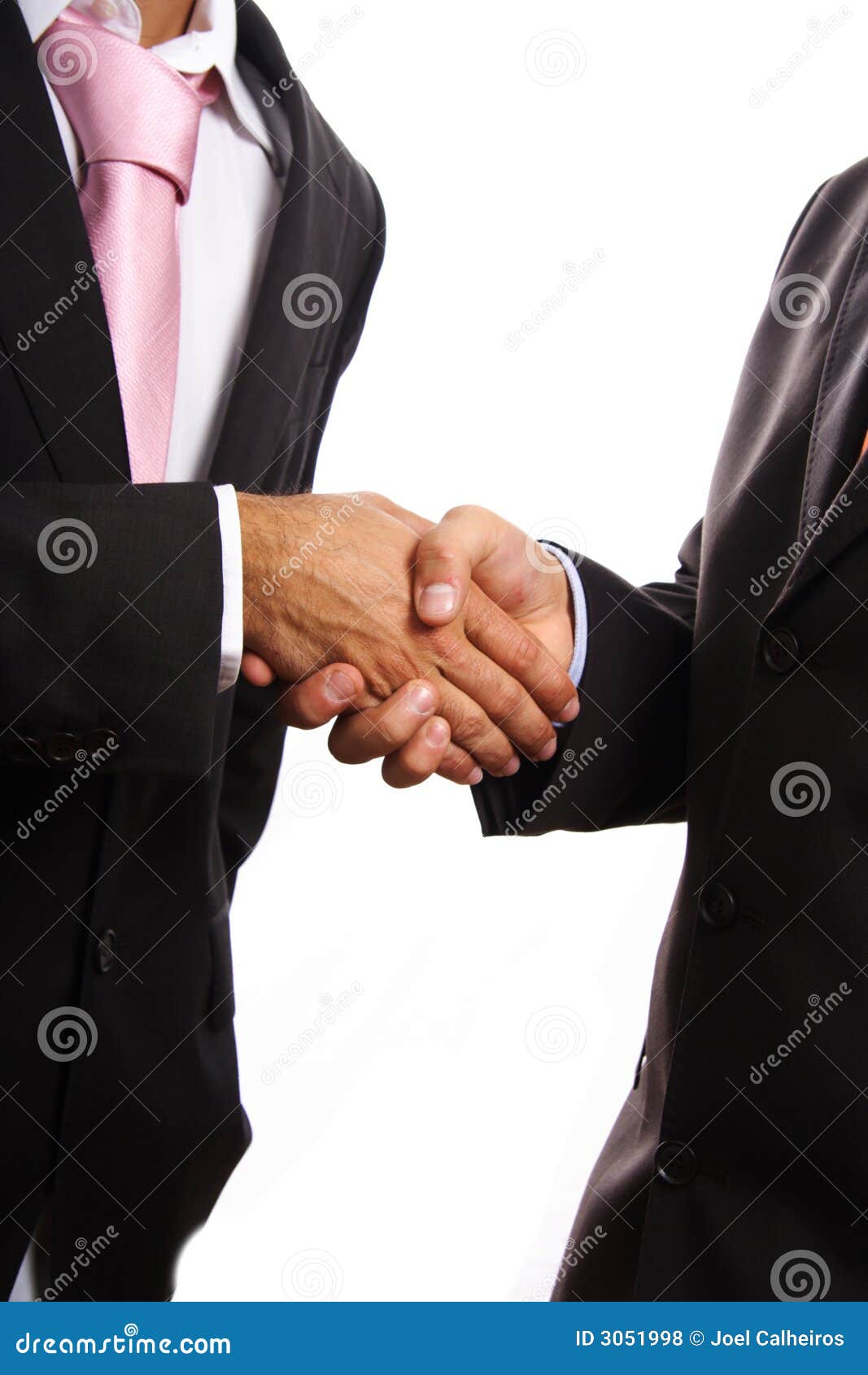 Shaking hands stock photo. Image of hand, office, caucasian - 3051998