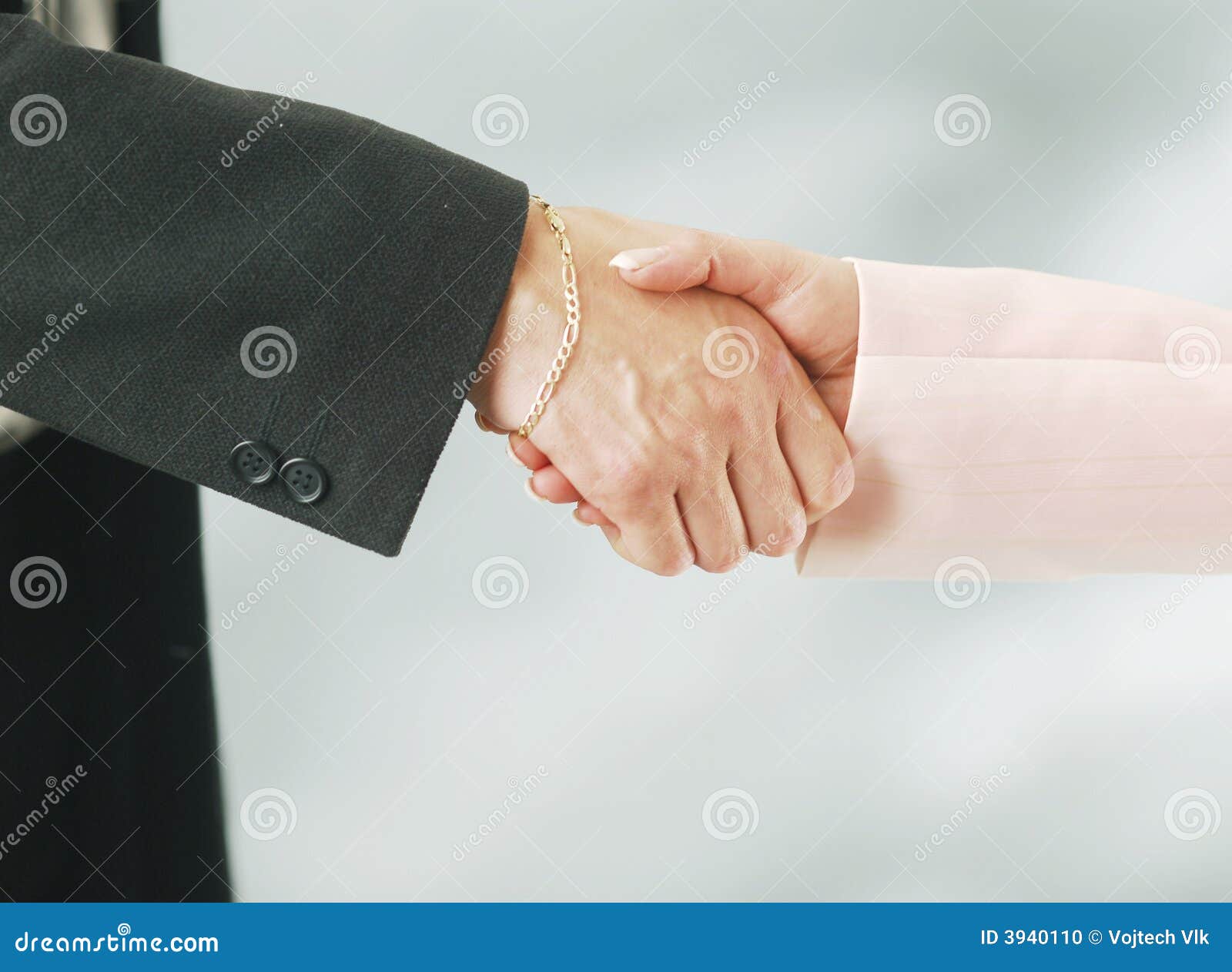 Shaking Hands Picture. Image: 3940110