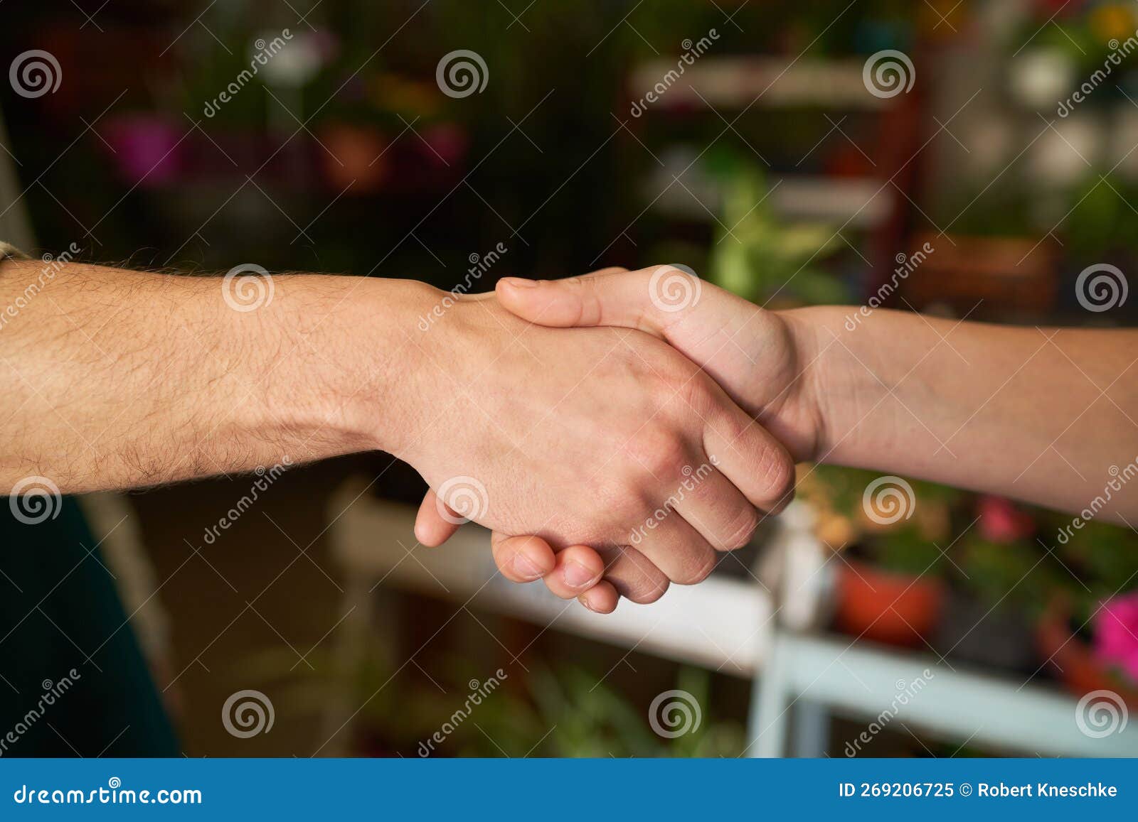 Shaking Hands As a Concept for Congratulations and Greetings Stock ...