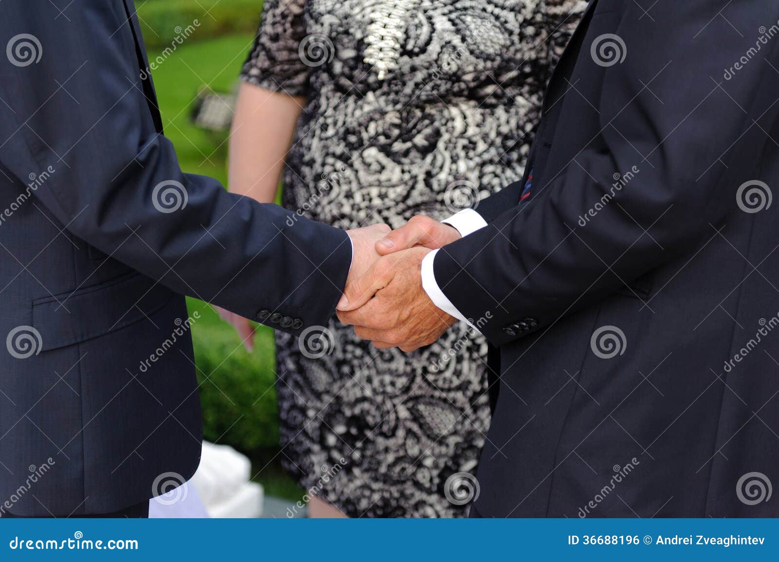 Shaking Hands stock photo. Image of human, culture, groom - 36688196