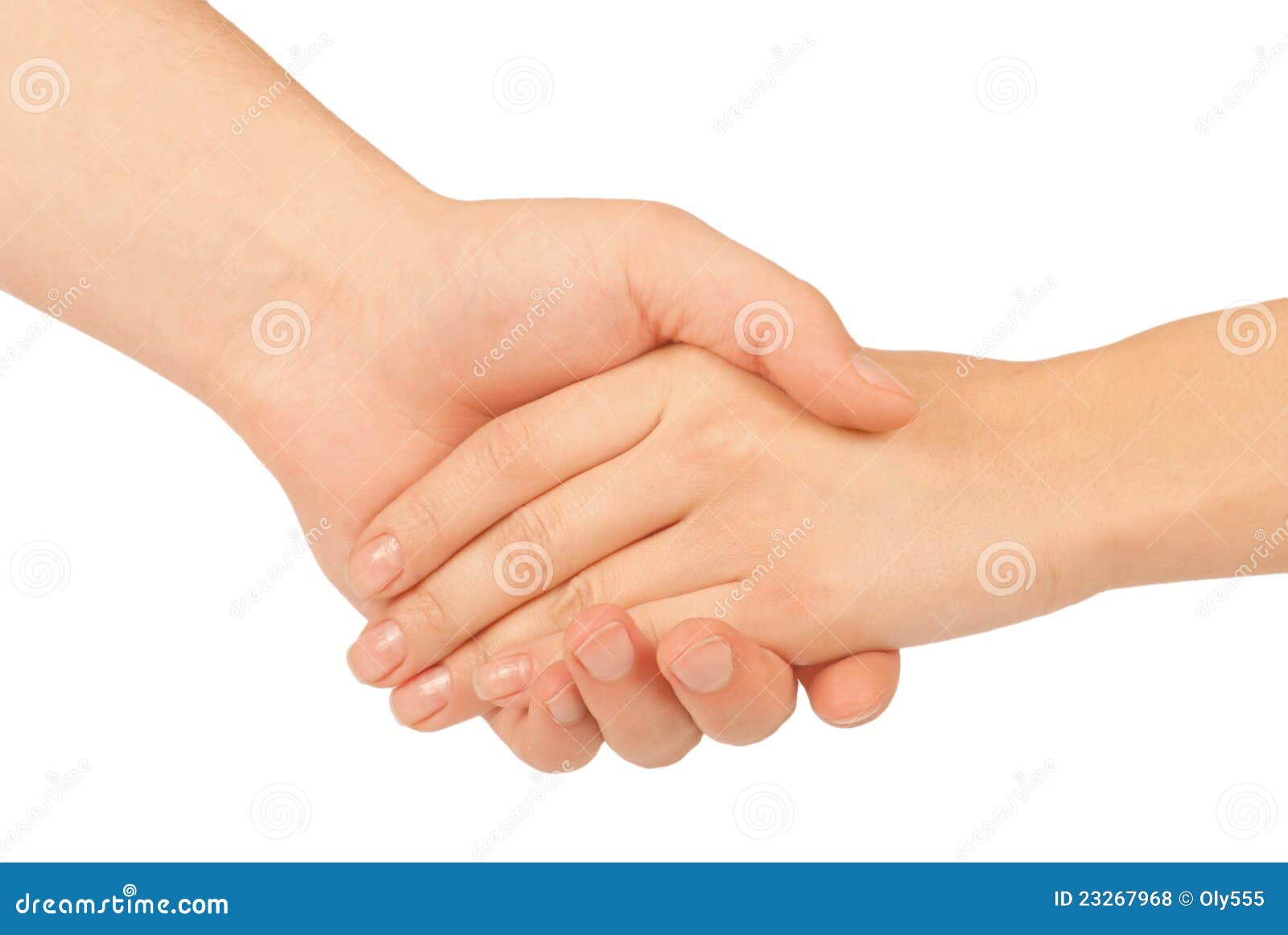 Shaking Hands of Two People, Man and Woman Stock Photo - Image of ...