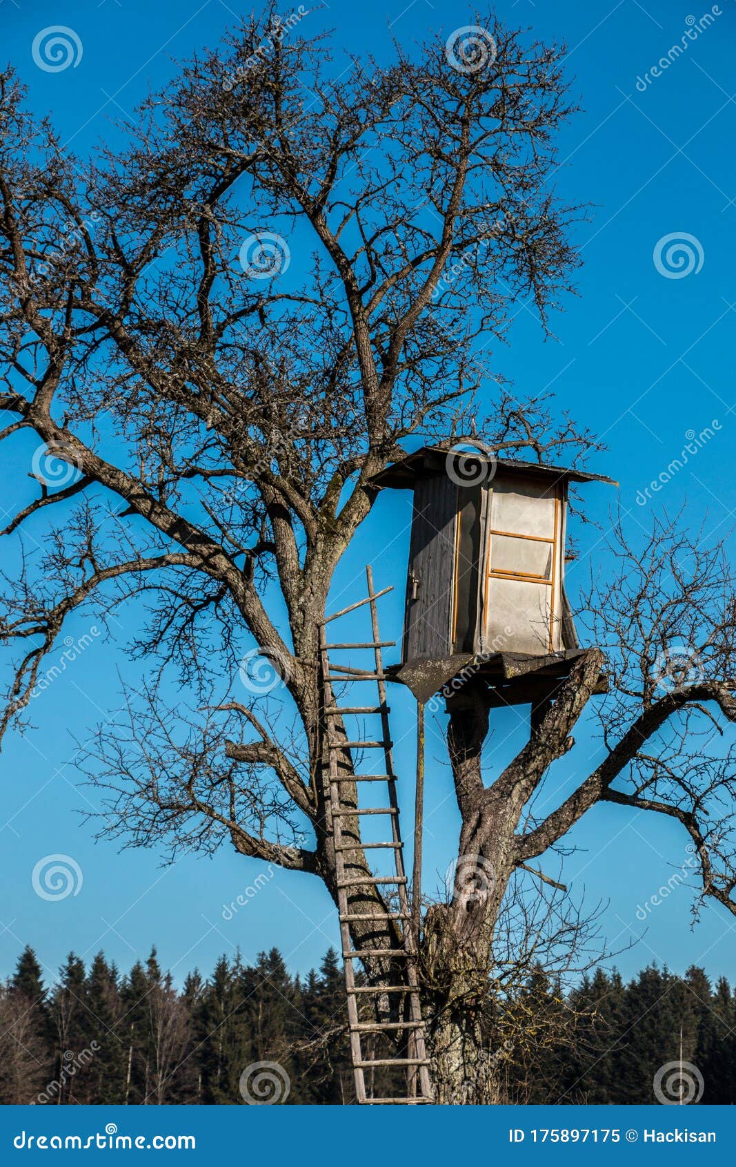 Shaky Raised Hide Up on Top of a High Tree Stock Image - Image of ...