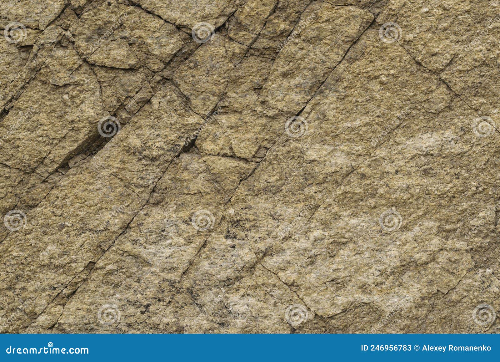 Shale Massif Texture with Quartz Inclusions Stock Image - Image of ...