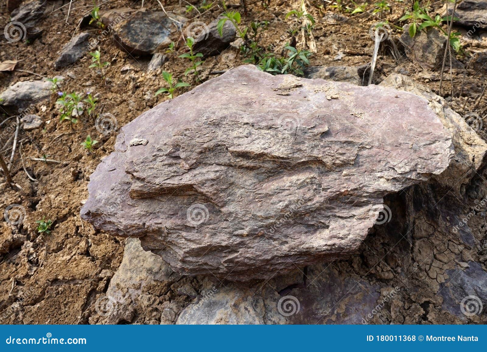 Closs Up of Shale Stone on Nature Background. Stock Photo - Image of ...
