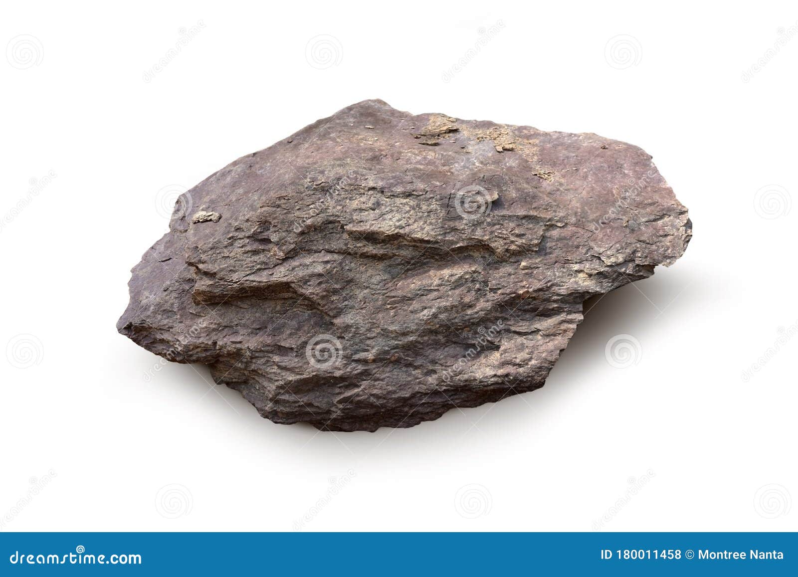 Shale Sedimentary Rocks