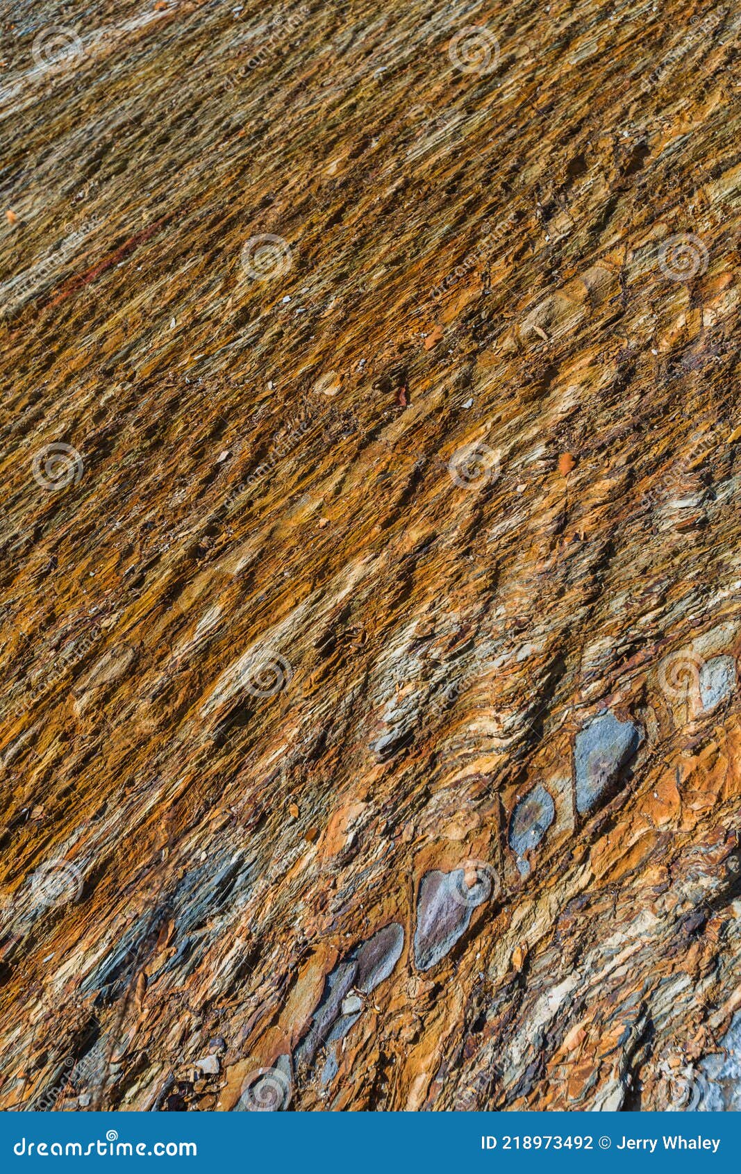 Shale Rock Exposed stock photo. Image of exposed, geology - 218973492