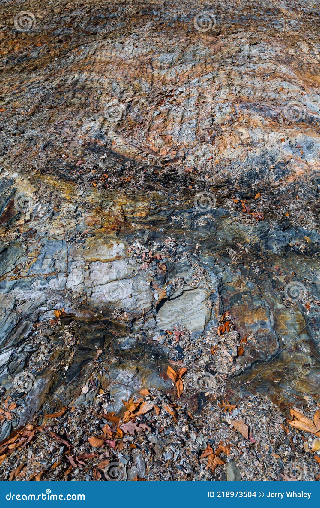 Pattern of Scraped Shale Rock Exposed Stock Photo - Image of lines ...