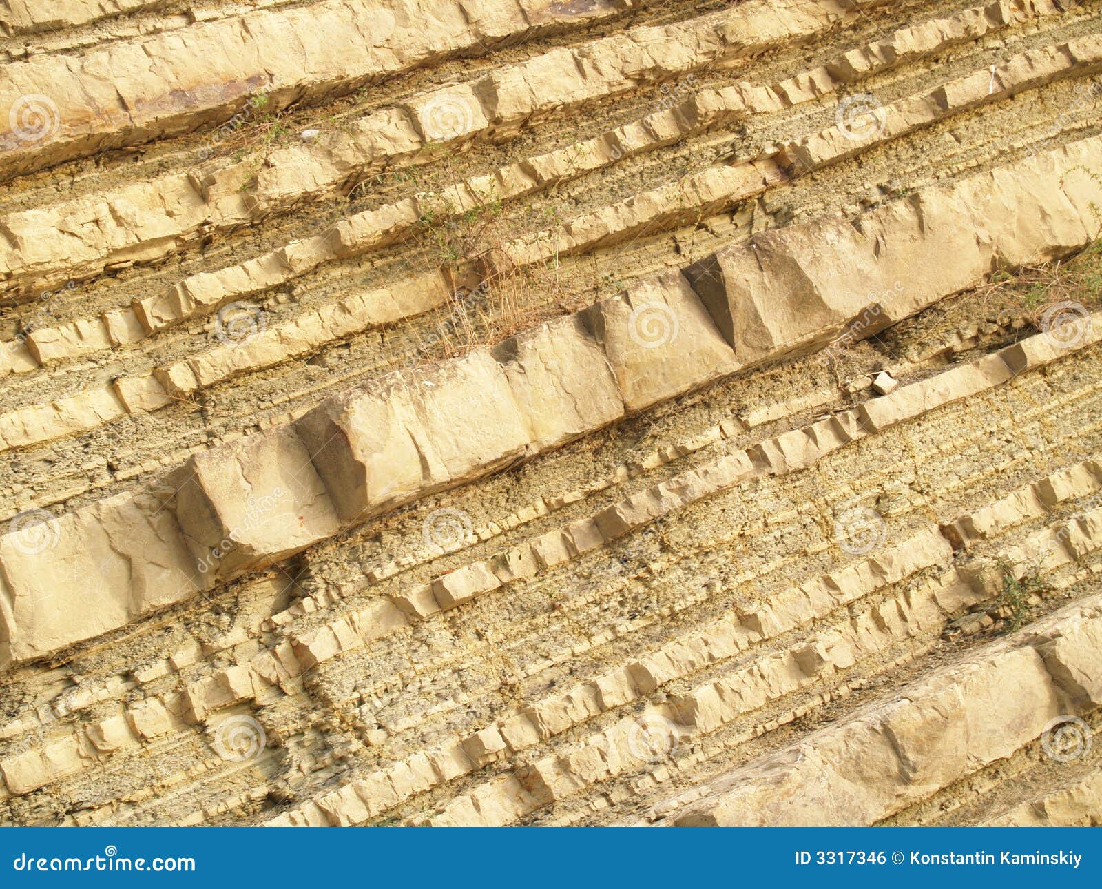 Shale rock texture stock photo. Image of macro, golden - 3317346