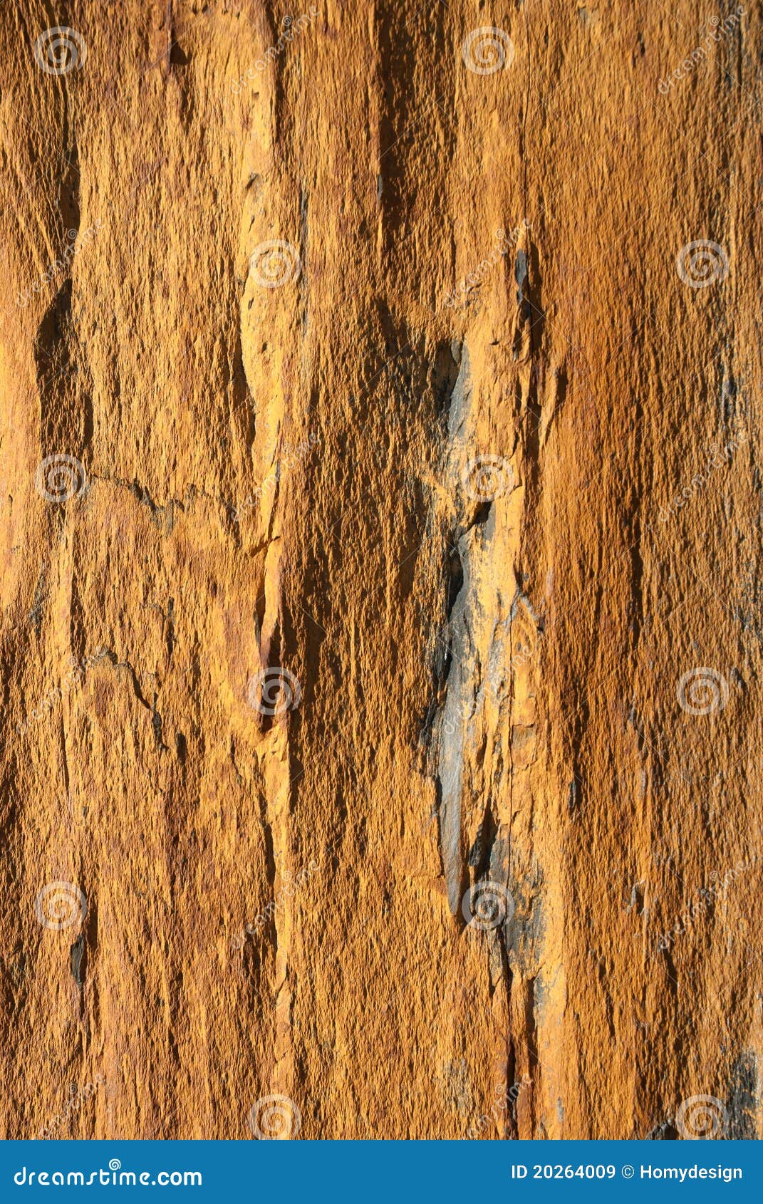Shale stone stock image. Image of stone, rock, texture - 20264009