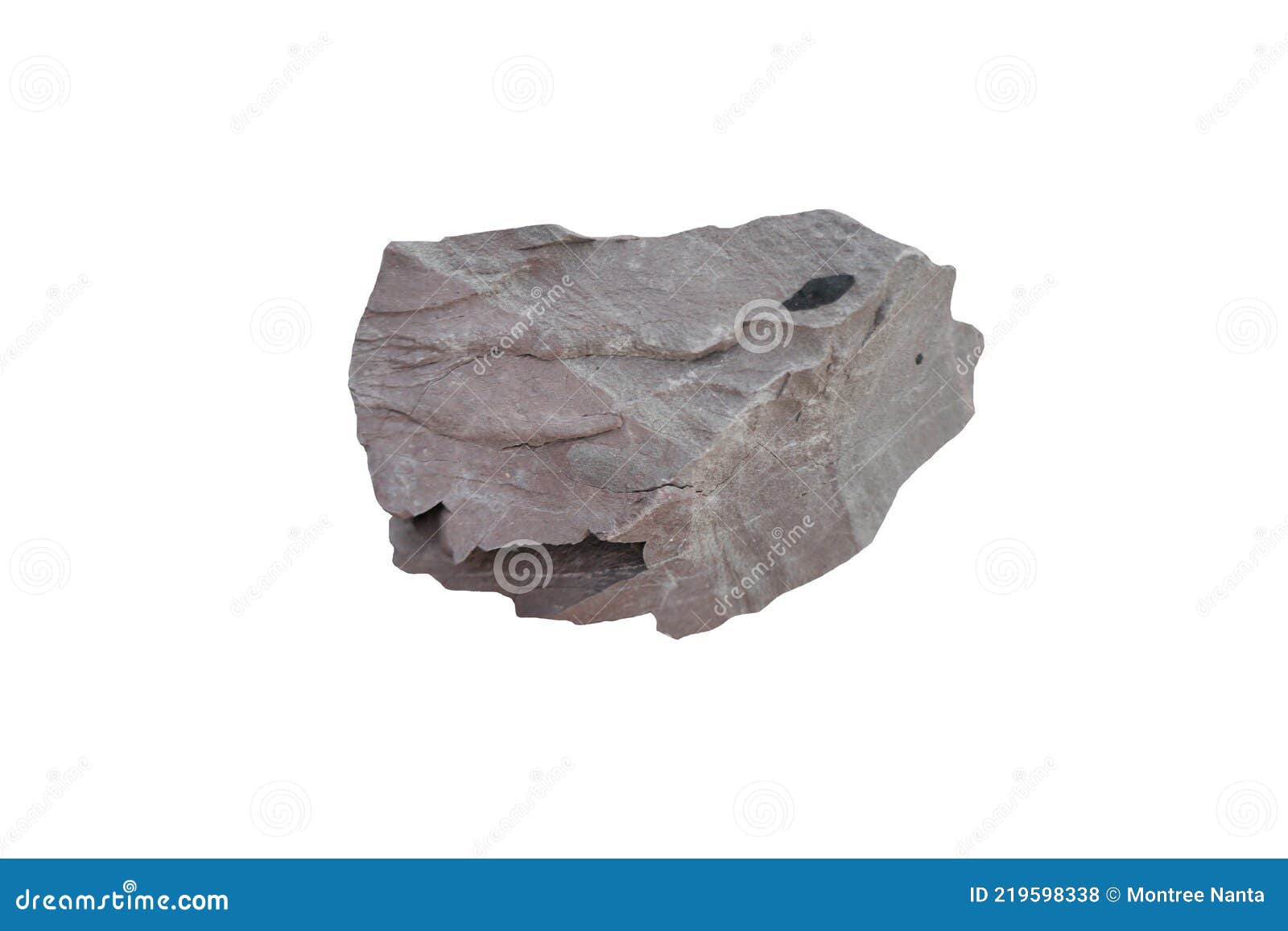 Shale Stone Clastic Sedimentary Rock Isolated on White Background with ...