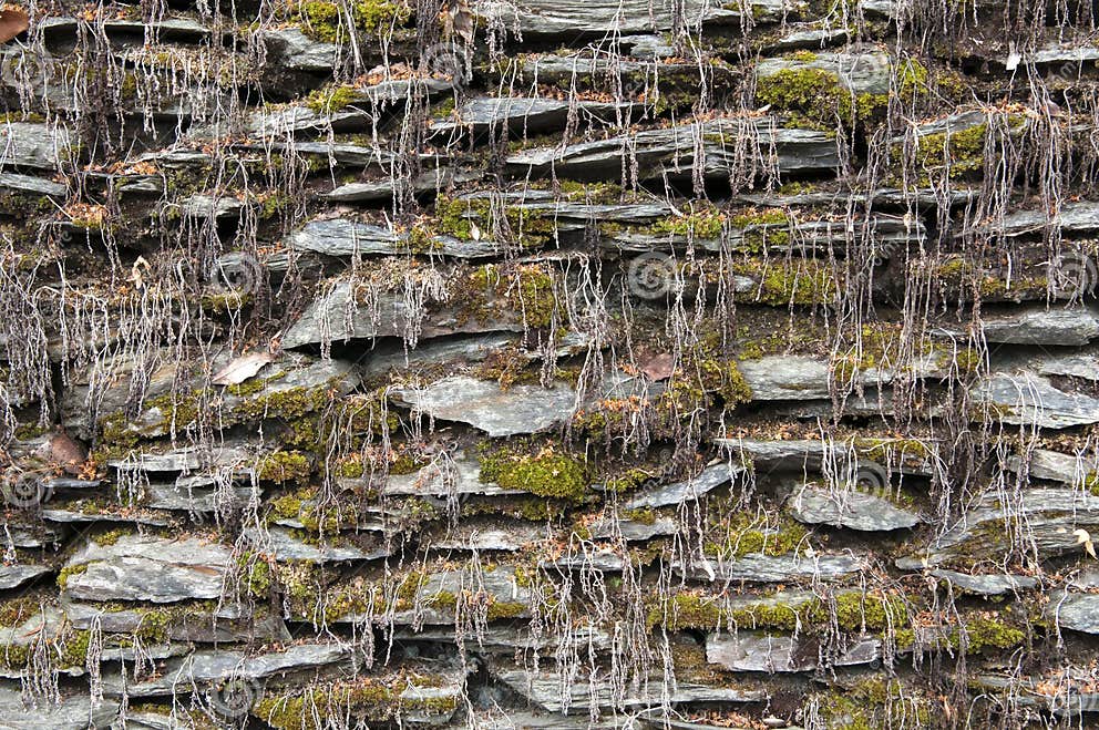 Shale Wall stock image. Image of stone, green, rock, background - 40510689
