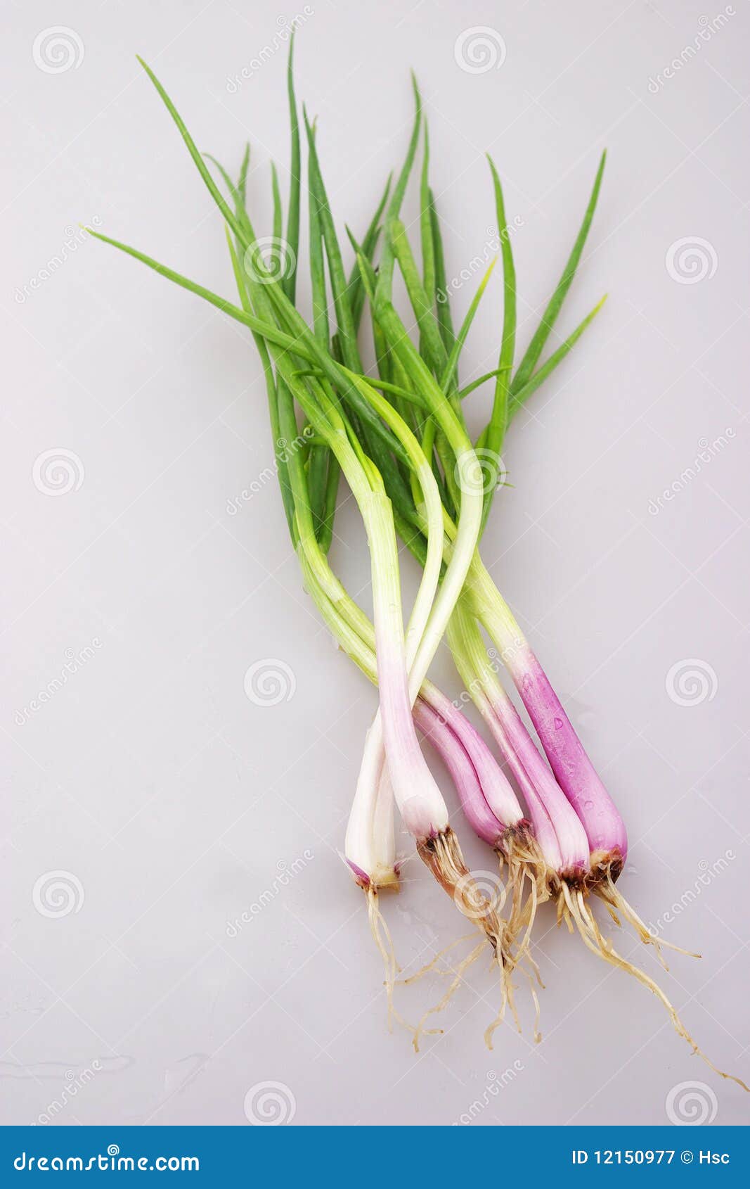 Shallot stock image. Image of isolated, stem, food, white - 12150977