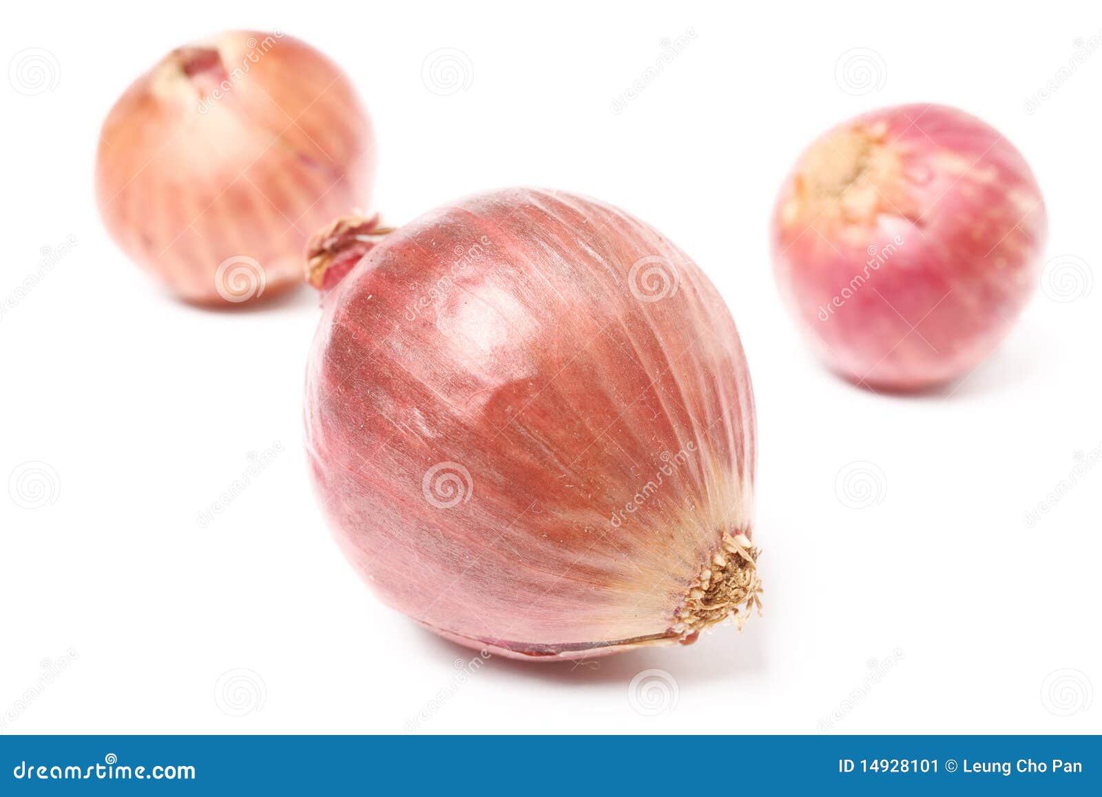 Shallot stock image. Image of fresh, ingredient, shallot - 14928101