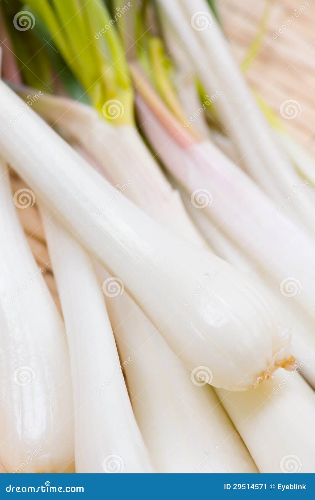 Shallot stock image. Image of organic, healthy, cook - 29514571