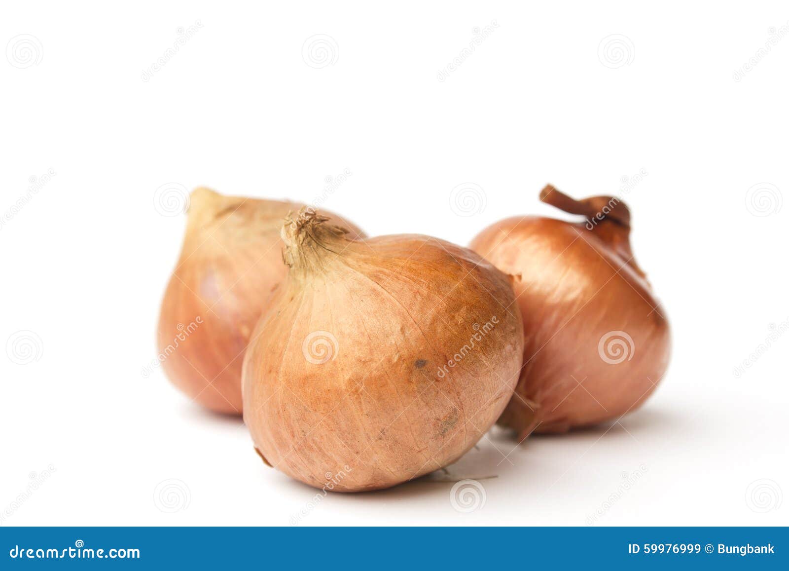Shallot Isolated on White Background Stock Image - Image of vegetable ...
