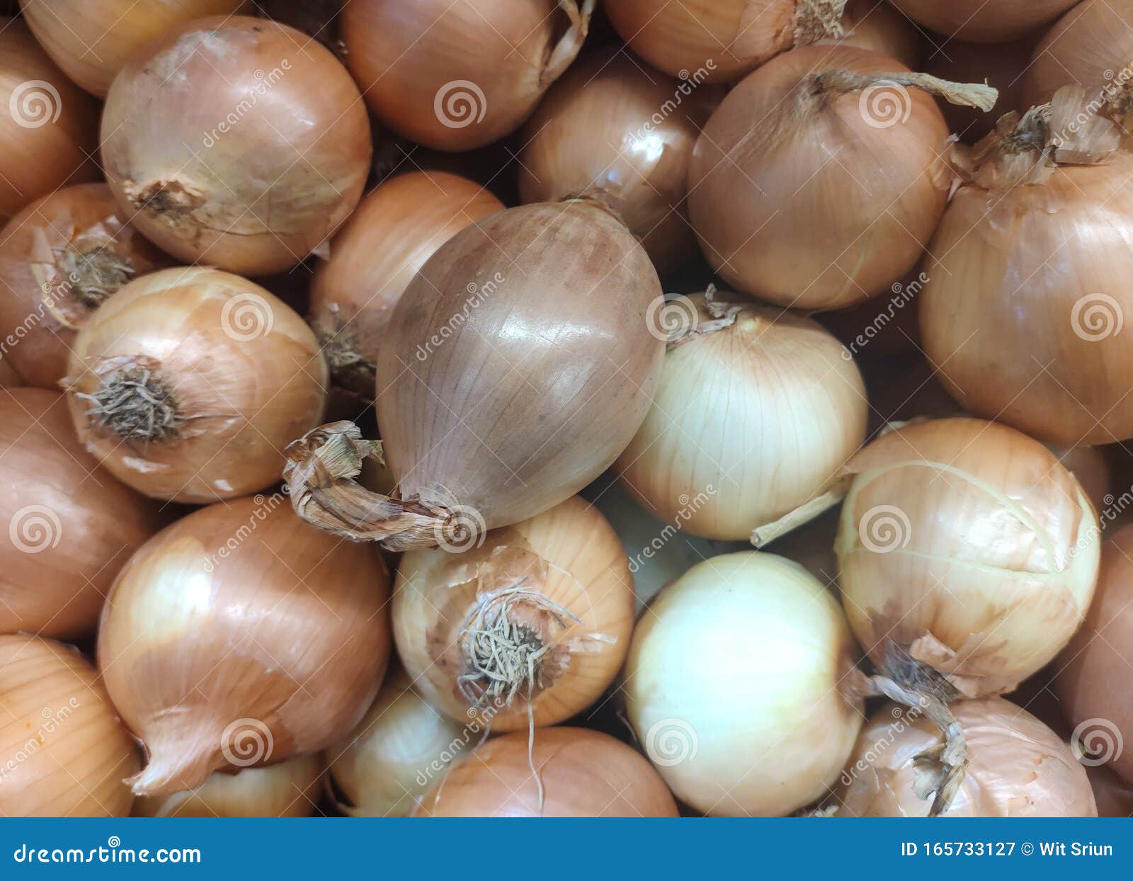 Shallot, Onion is a Vegetable and Spice for Cooking in the Kitchen ...