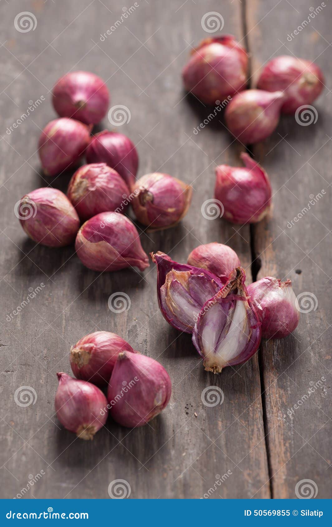 Shallot stock image. Image of salad, foodstuff, shallot - 50569855