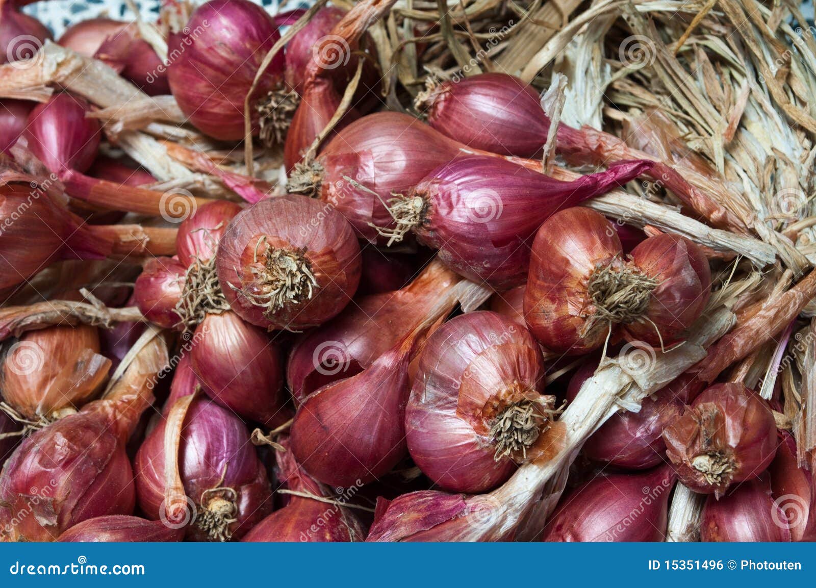 Shallots stock photo. Image of shallots, healthy, aroma - 15351496