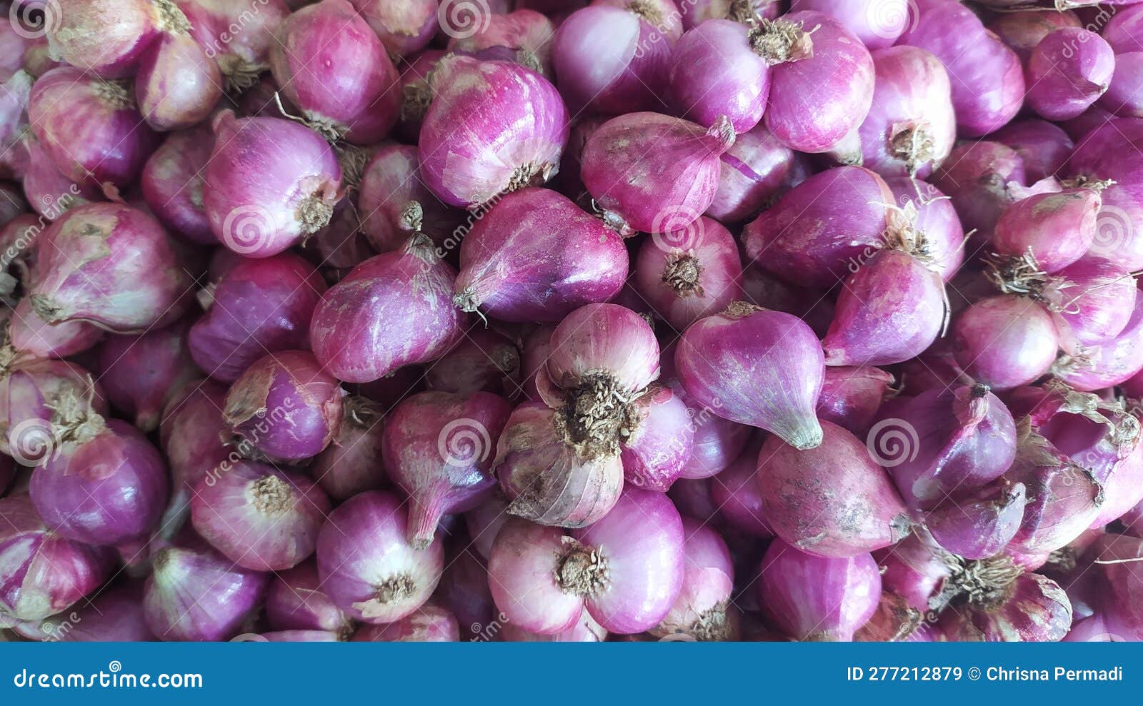 Shallots are an Important Ingredient in Indonesian Cuisine Stock Image ...