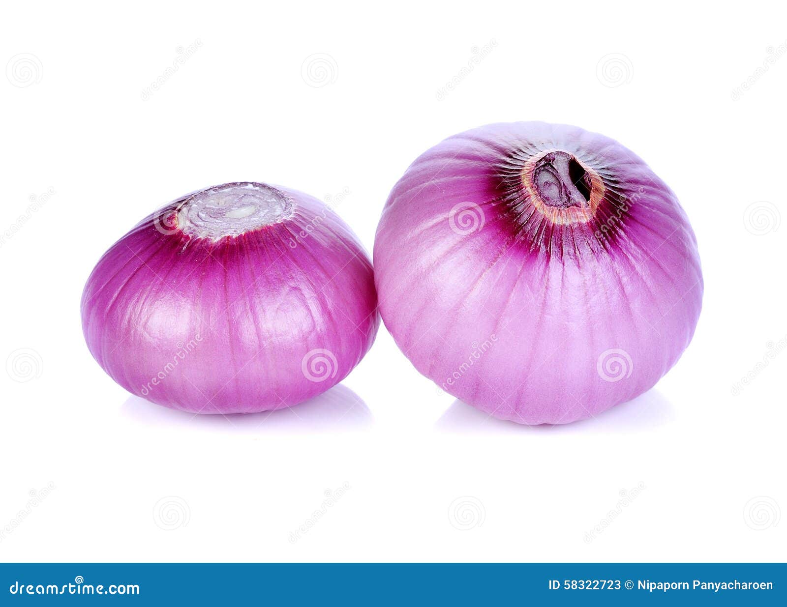 Shallots stock image. Image of vegetable, tasty, nature - 58322723