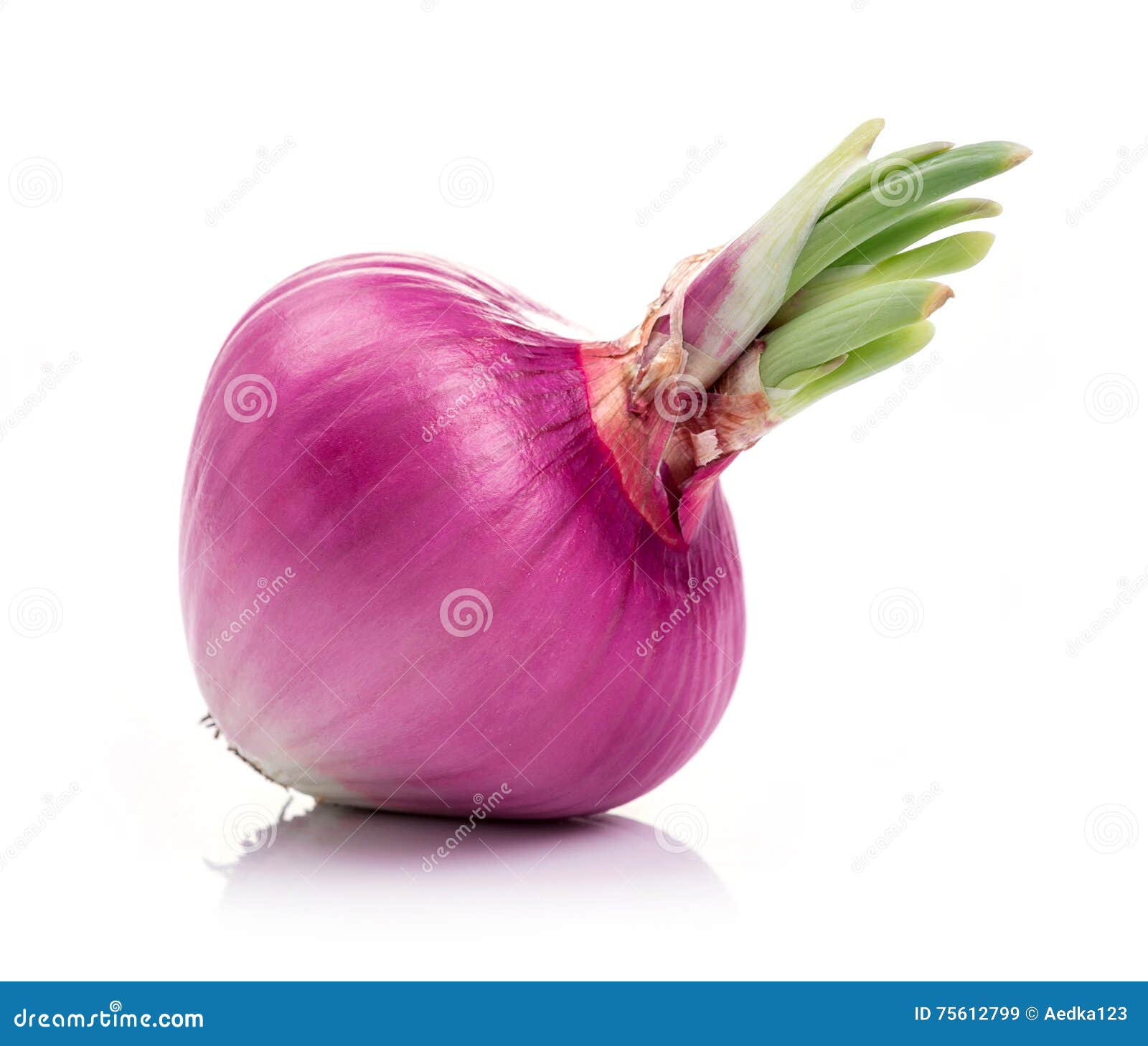 Shallots stock image. Image of thai, group, agriculture - 75612799
