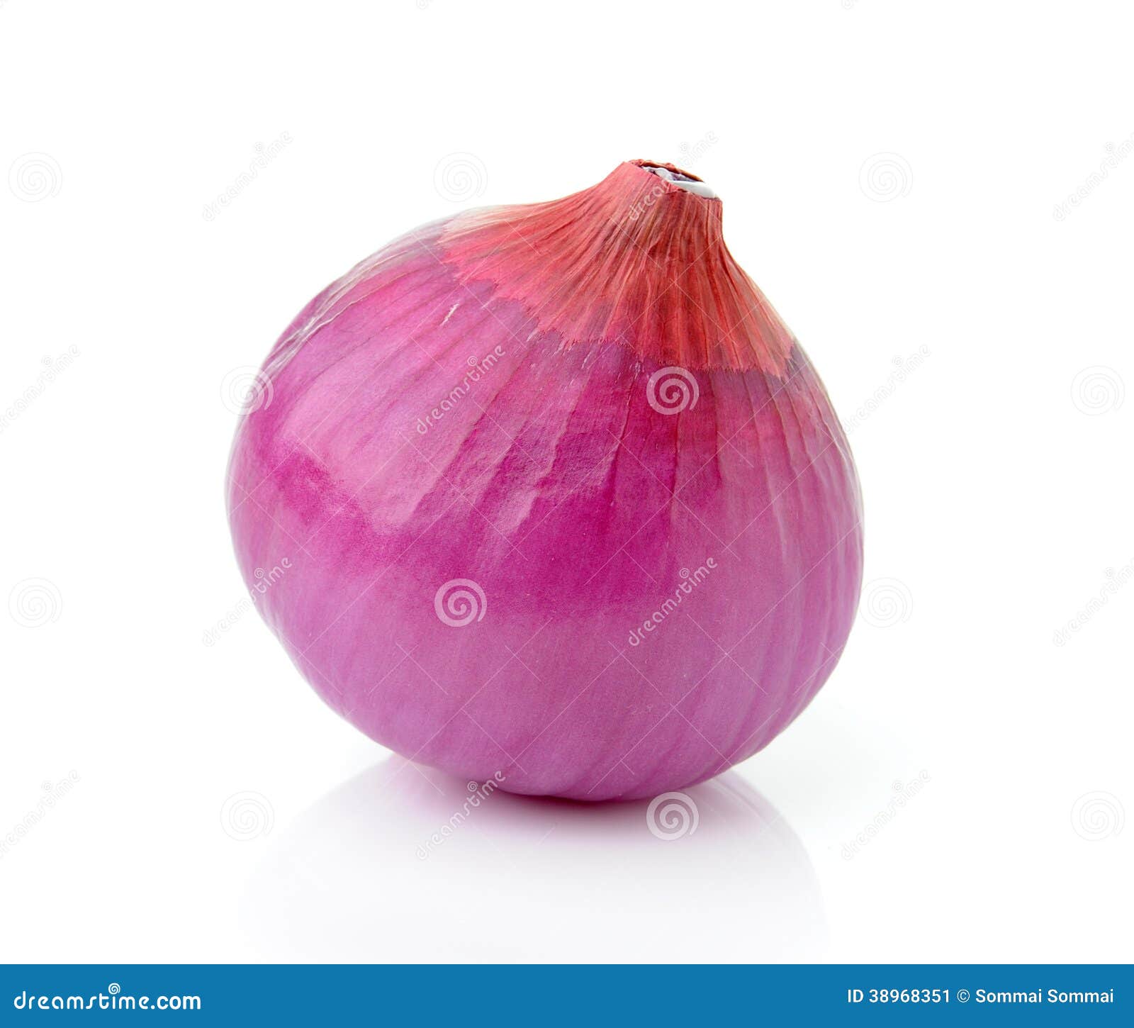 Shallots Isolated on White Background Stock Image - Image of food ...