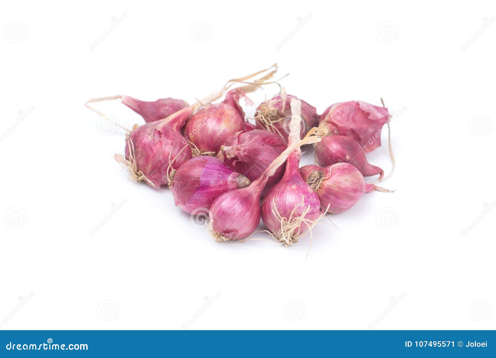 Shallots on Isolated White Background Stock Image - Image of health ...