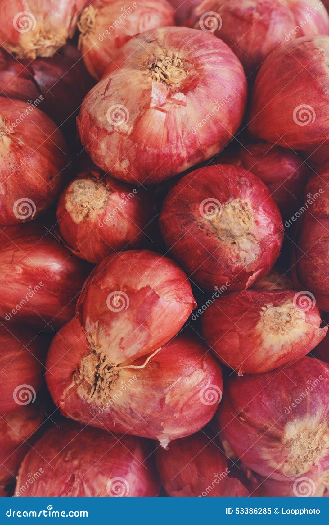 Shallots stock image. Image of shallots, thai, background - 53386285