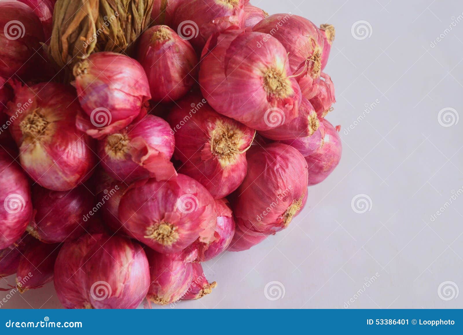 Shallots stock image. Image of food, ingredient, tasting - 53386401