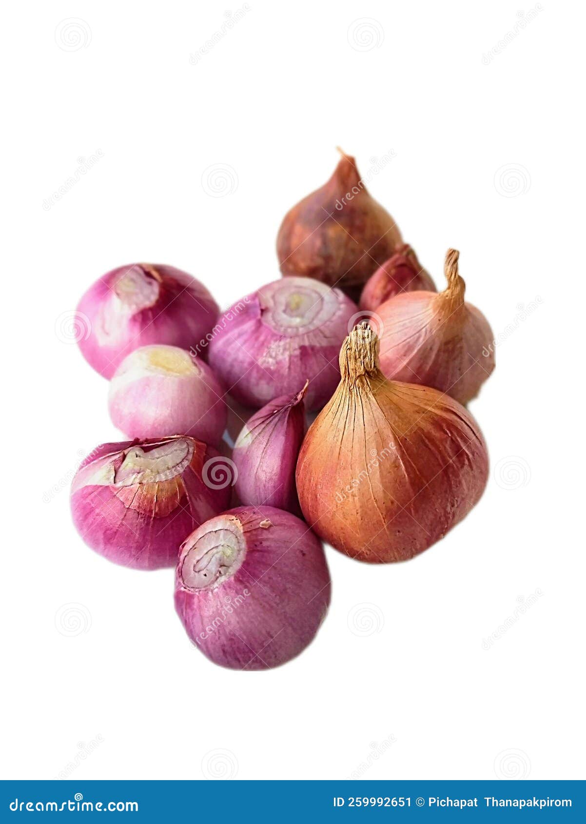 Pink Shallots on White Background Stock Image - Image of food ...