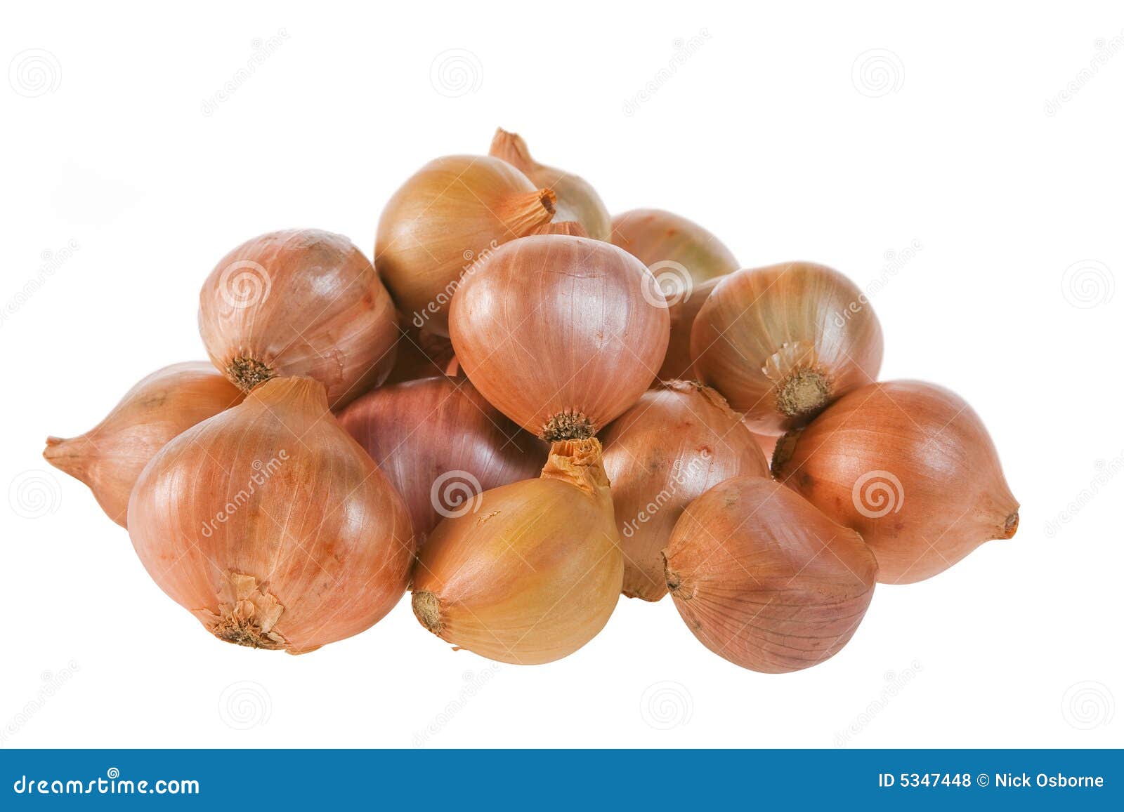 Shallots on White Background. Stock Photo - Image of small, healthy ...