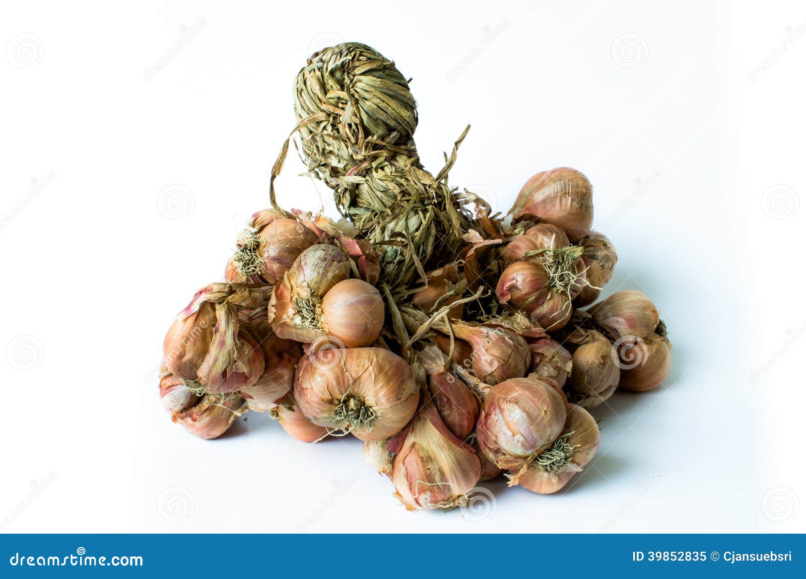 Shallots stock image. Image of cooking, ingredient, plant - 39852835