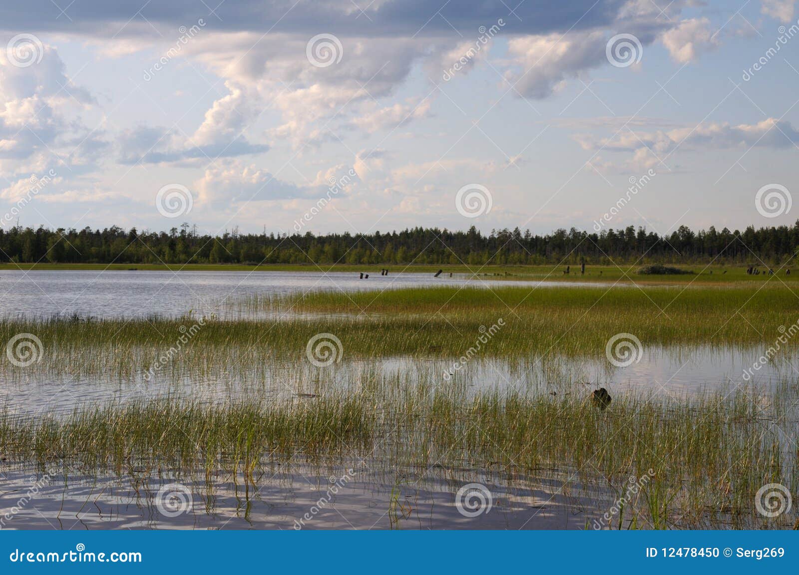 Shallow Backwater on a Northern Lake Stock Photo - Image of clouds ...