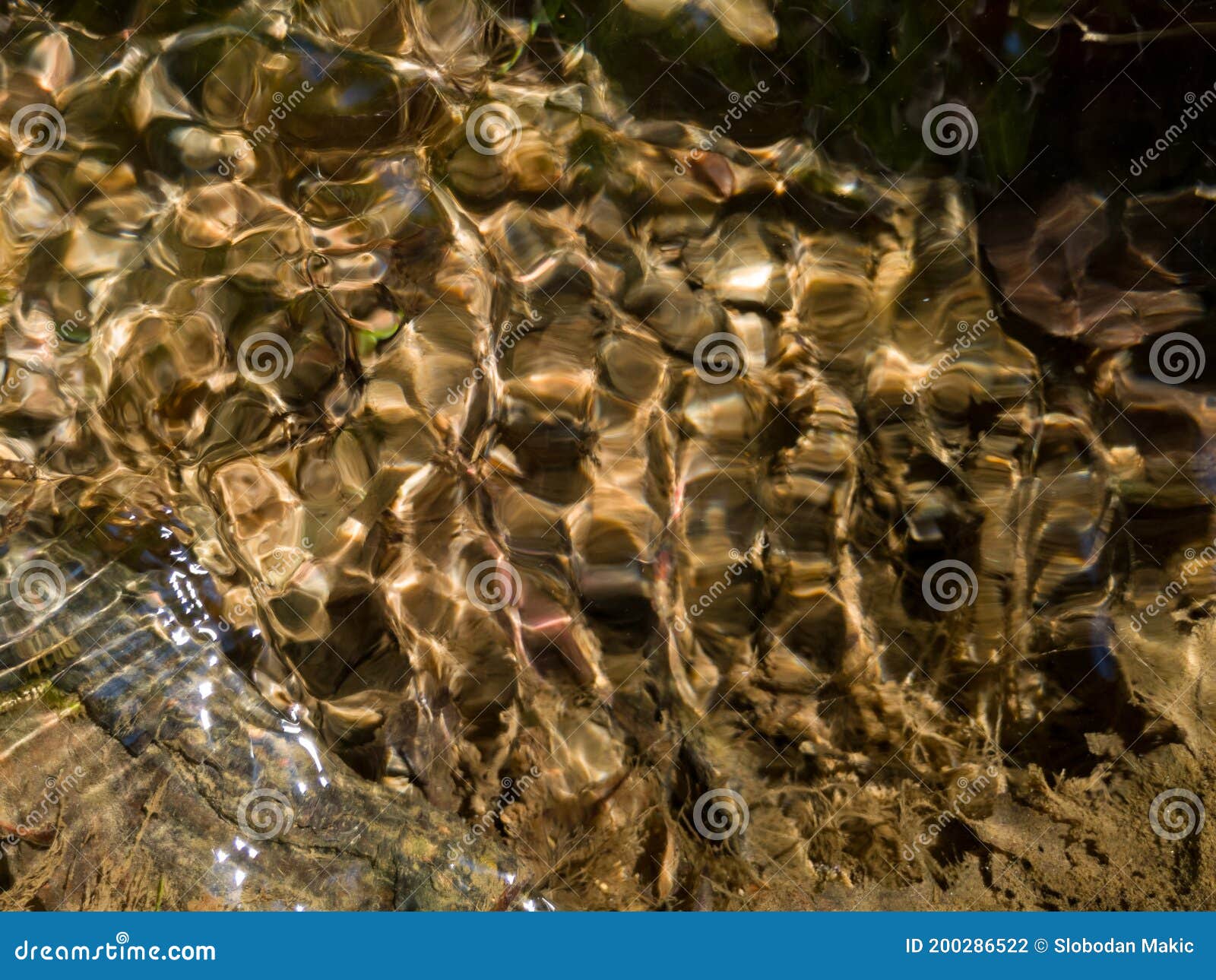 Shallow Clear Water Flowing in the Stream, Abstract Waveforms ...