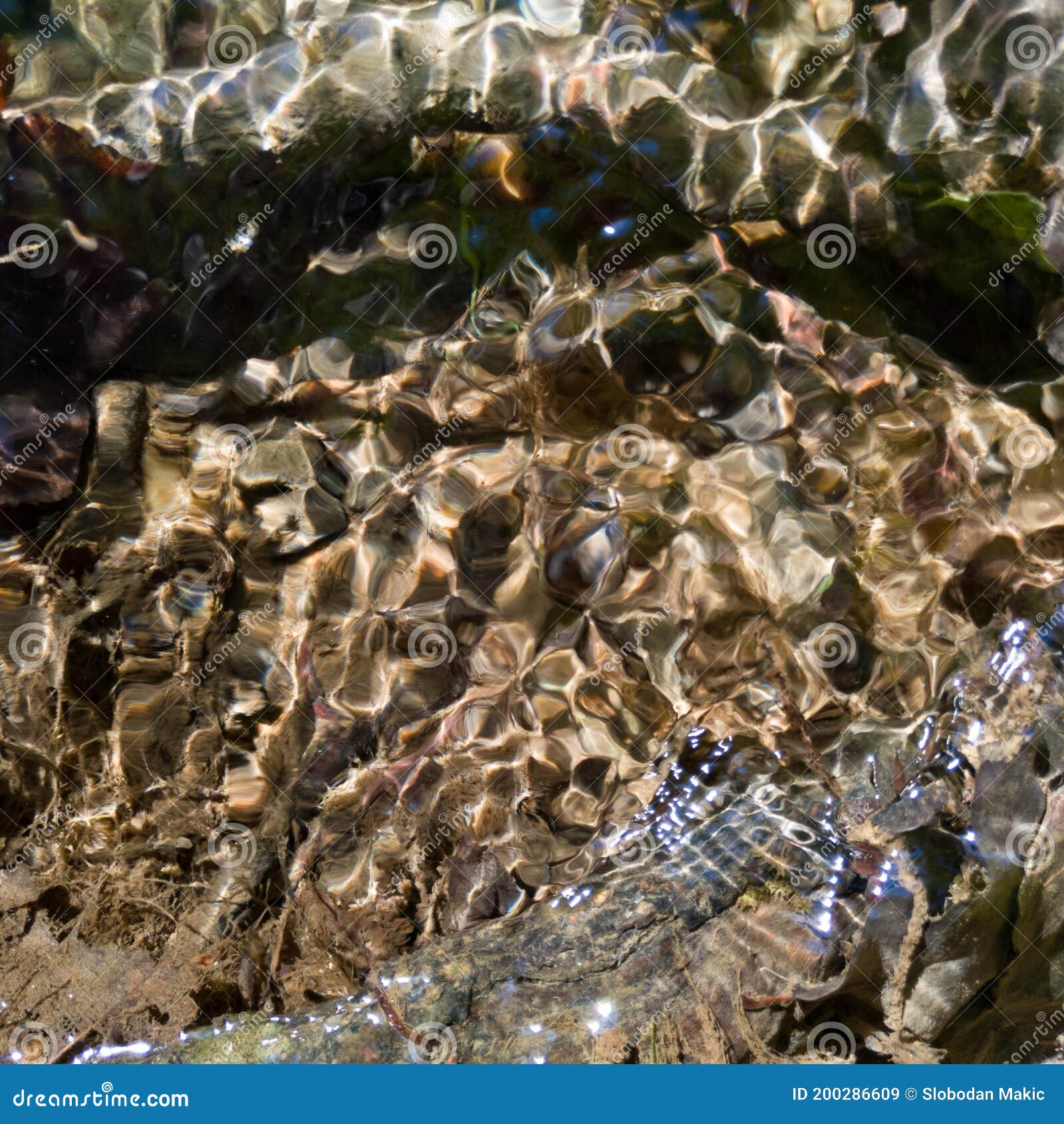 Shallow Clear Water Flowing in the Stream, Abstract Waveforms ...
