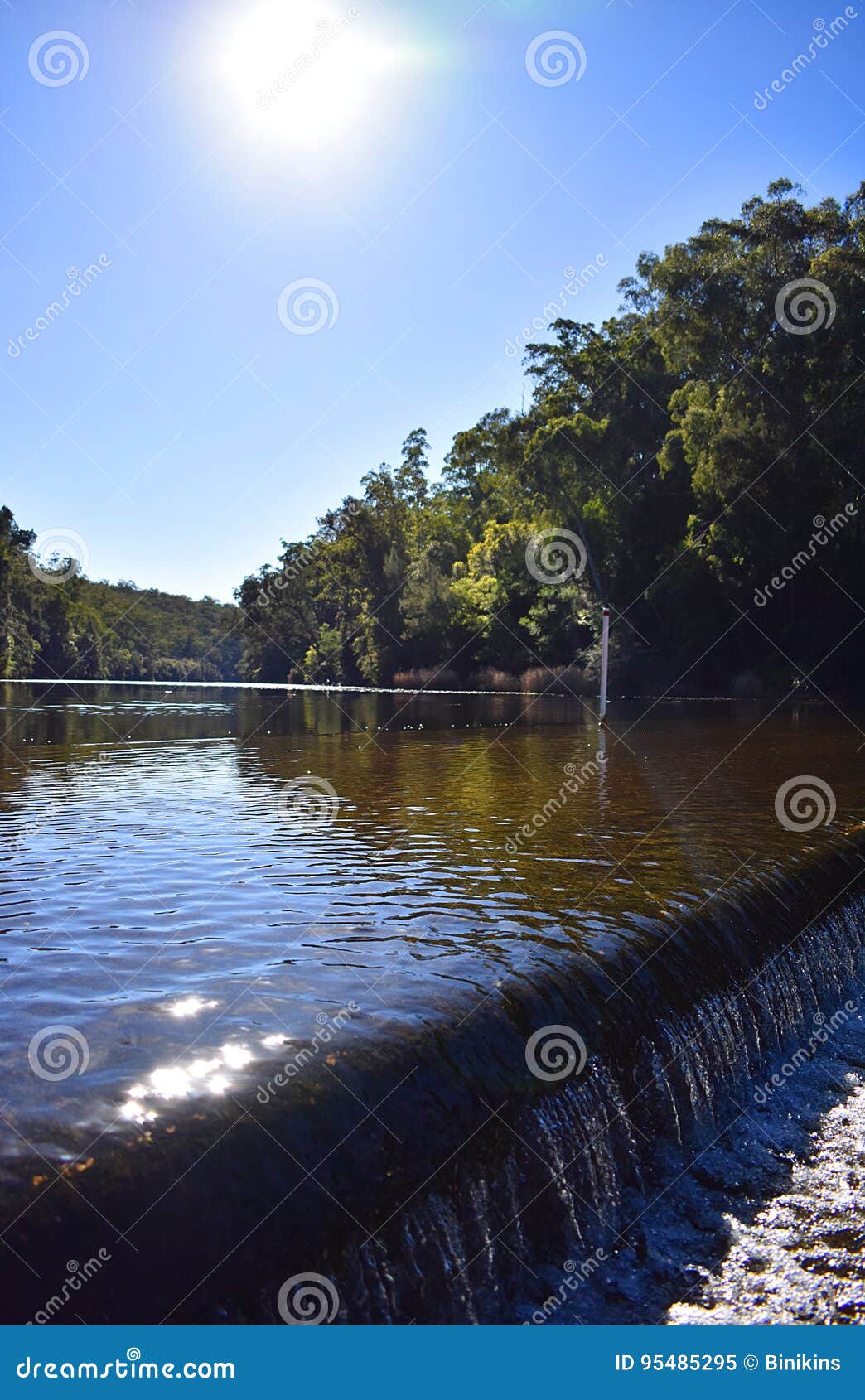Shallow Crossing NSW stock image. Image of eucalyptus - 95485295
