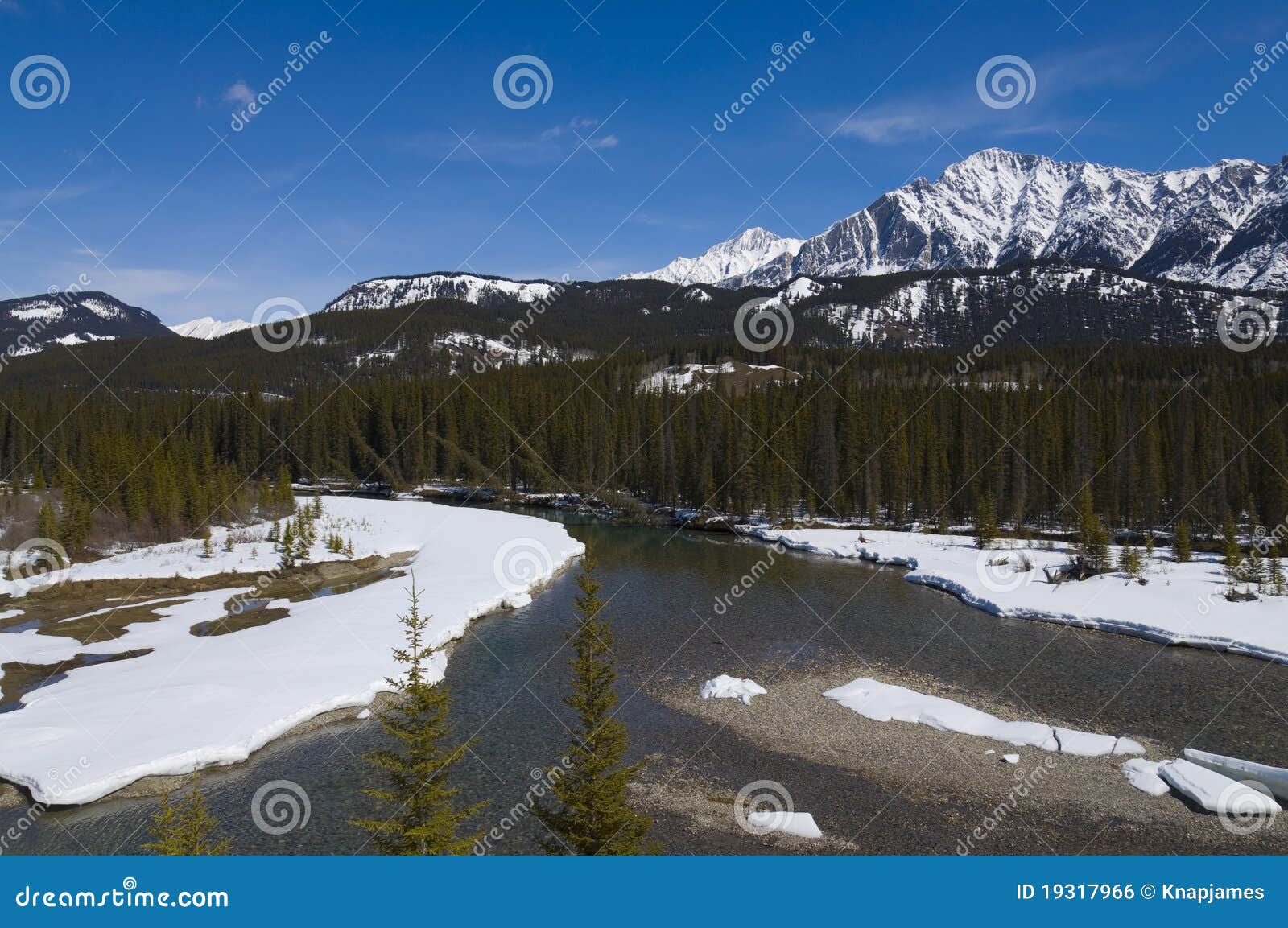Shallow Crystal Blue Mountain River in Banff Stock Photo - Image of ...