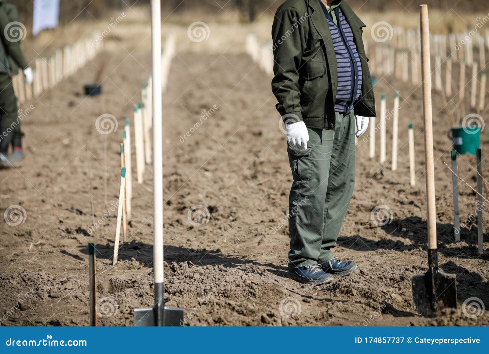 Shallow Depth of Field Selective Focus Image with a Man during a ...