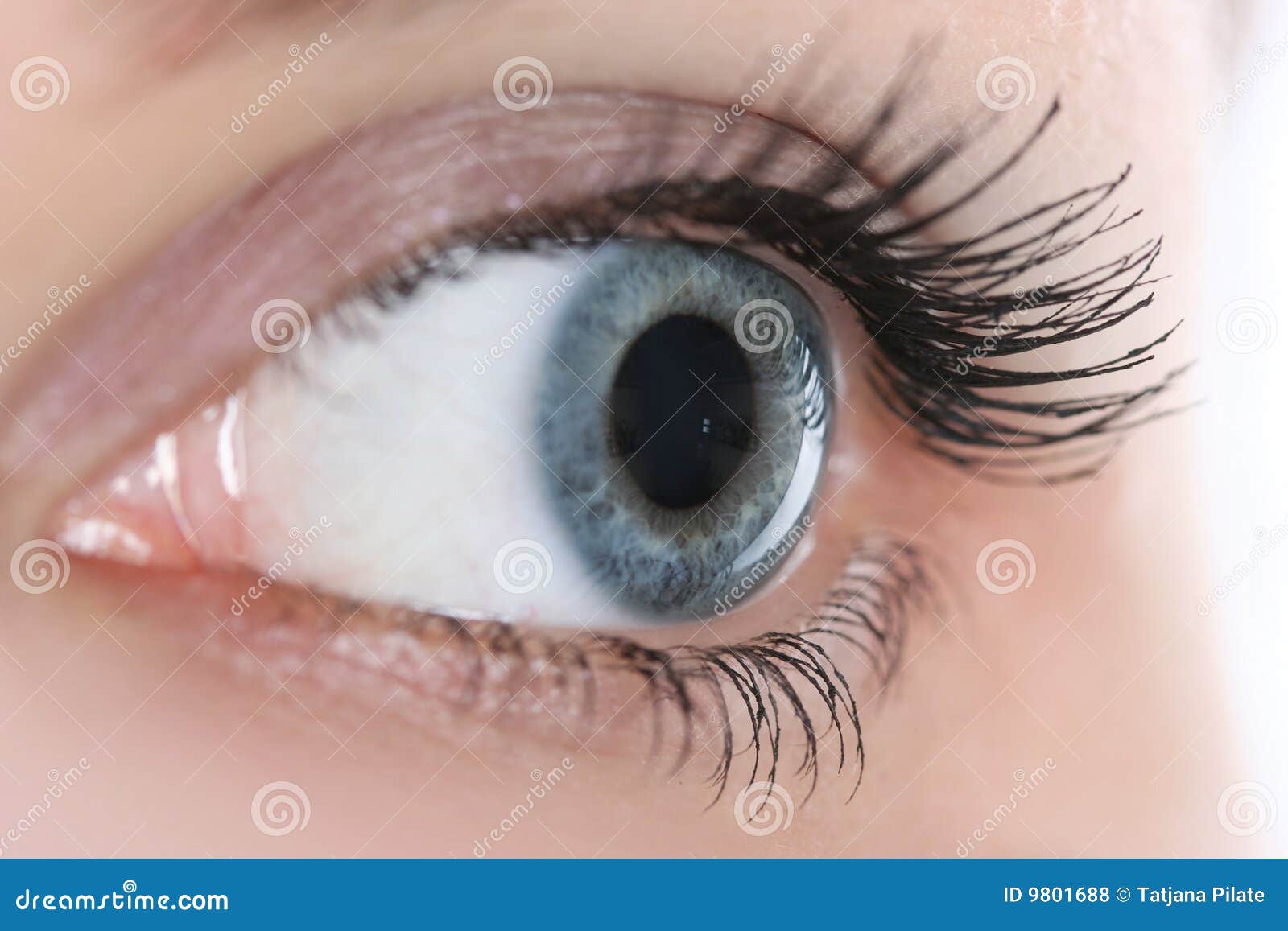 Shallow DoF eye stock photo. Image of blue, female, treatment - 9801688