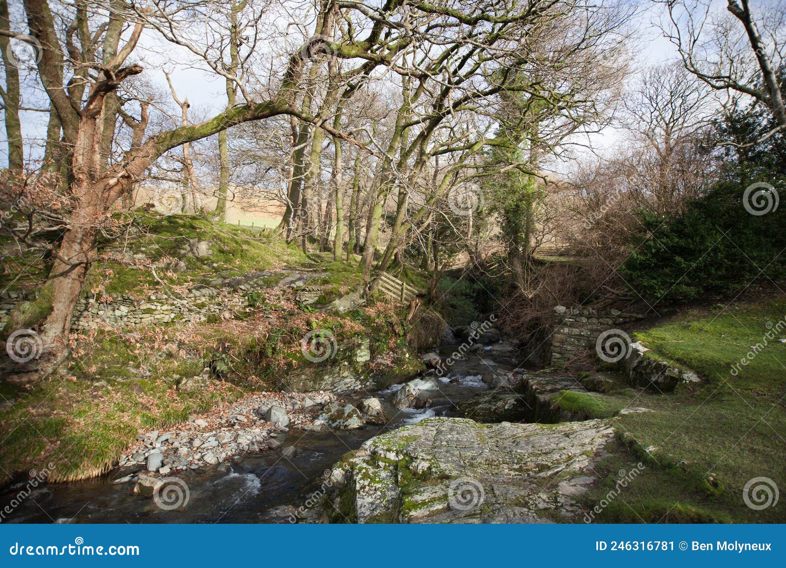 A Shallow Fast Moving Stream at Buttermere, Cumbria in the UK Stock ...