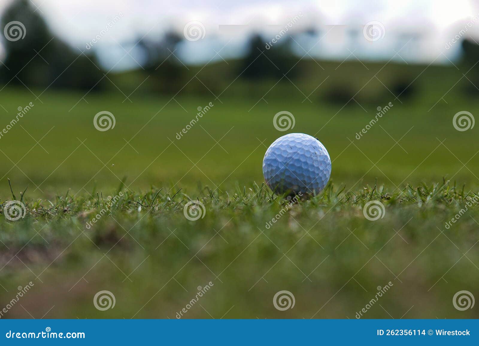 Shallow Focus Shot of a Golf Ball in a Golf Course Stock Photo - Image ...
