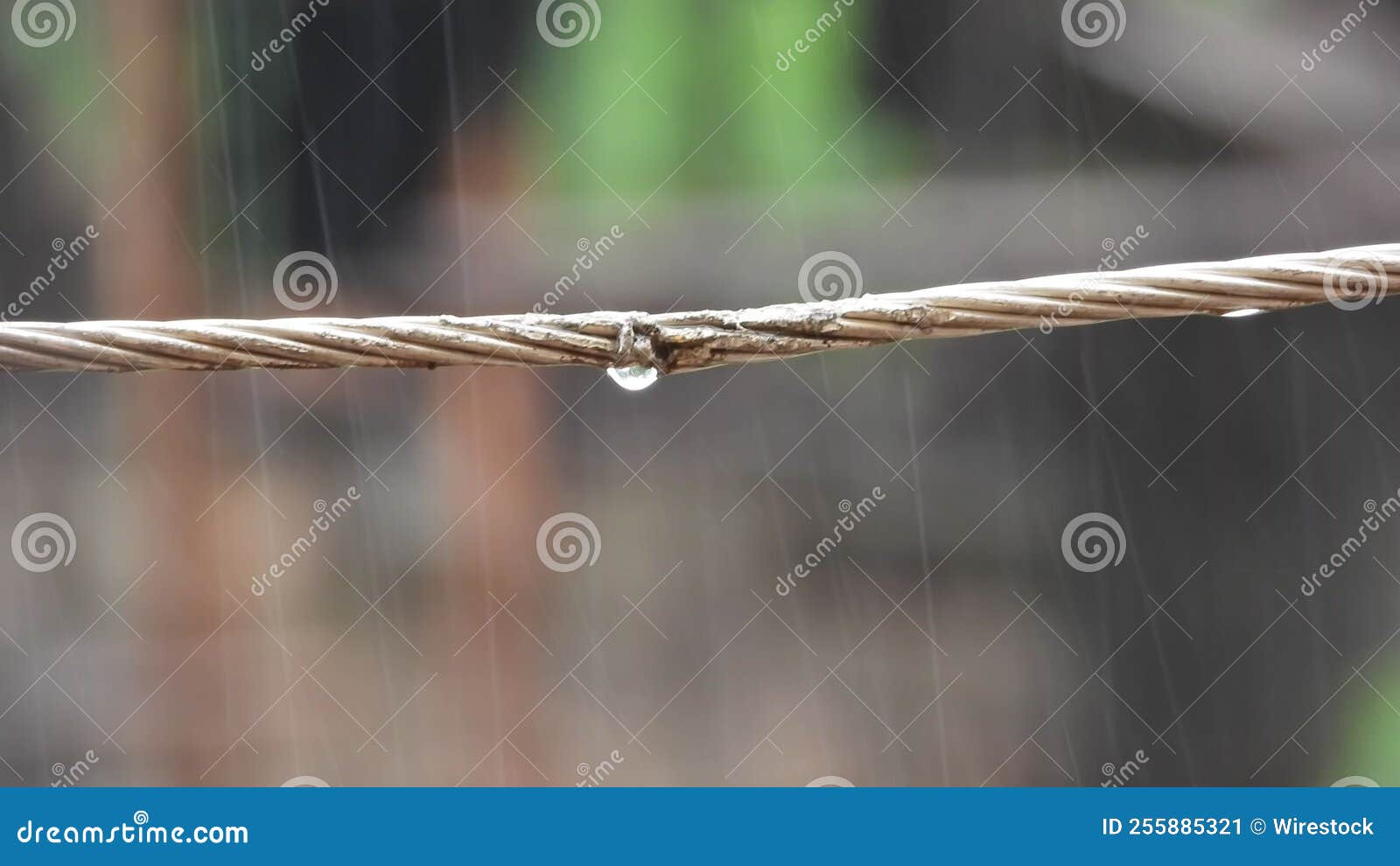 Shallow Focus Shot of Raindrops Falling on a Rope with Blur Background ...